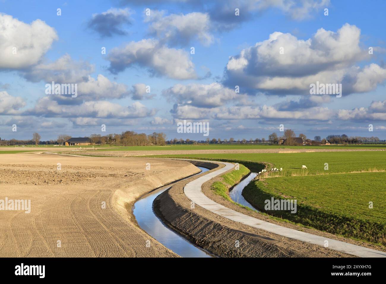 Rural curved road for bikes in Dutch farmland, Holland Stock Photo - Alamy