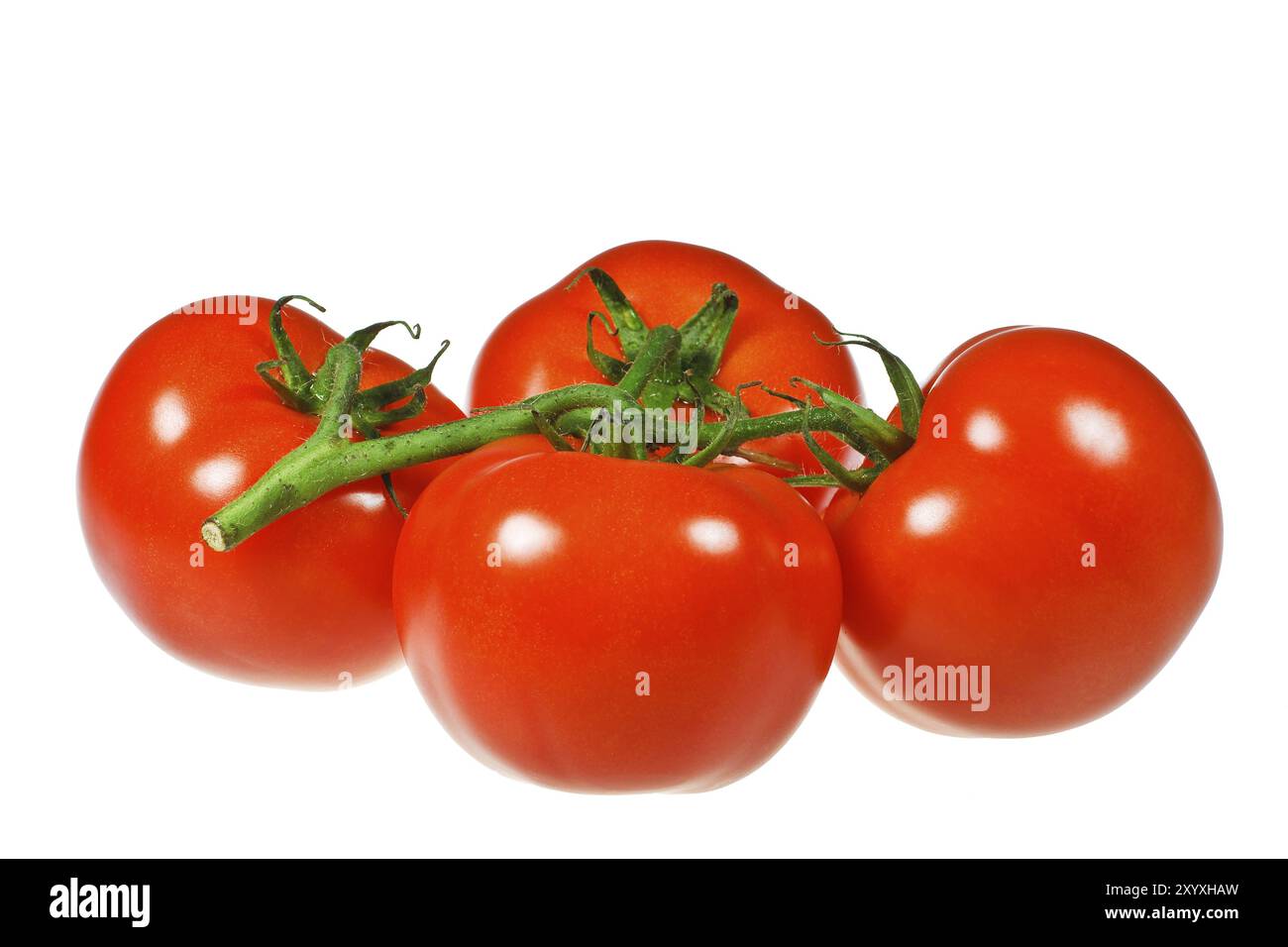 Four tomatoes cut out Stock Photo - Alamy