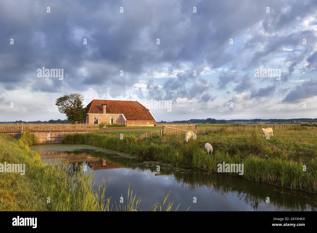 Farmhouse exterior sheep hi-res stock photography and images - Alamy