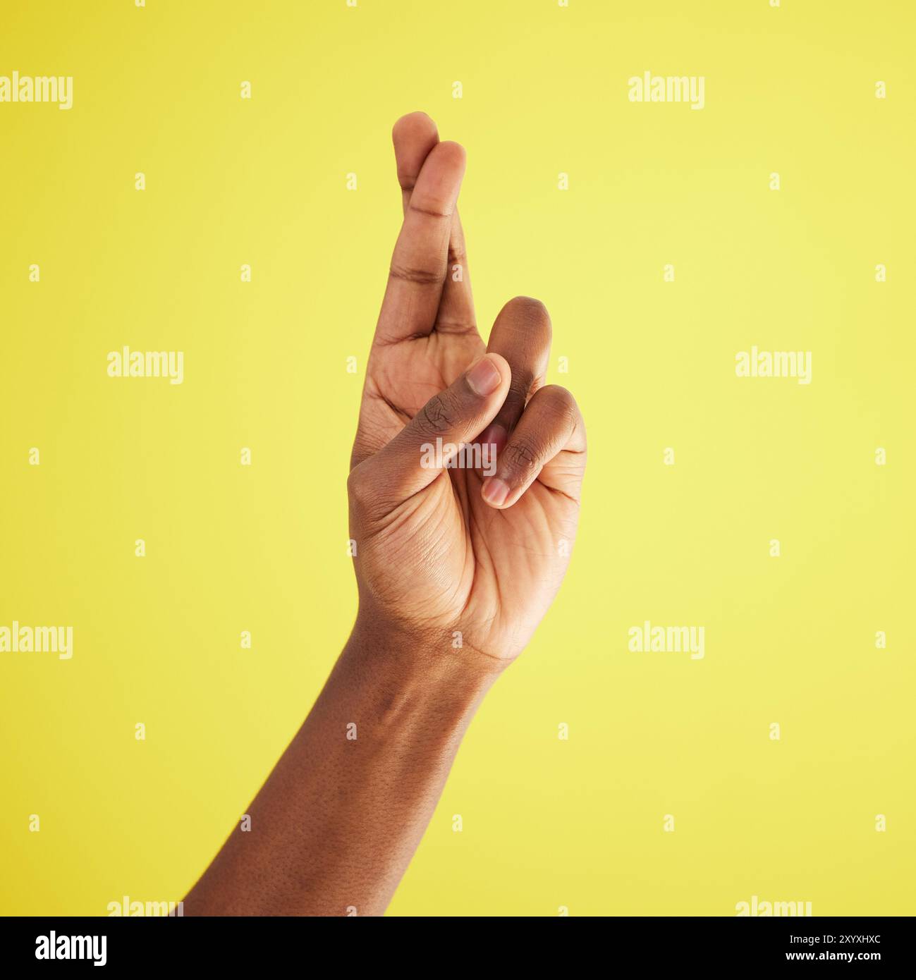 Hope, fingers crossed and model hand in studio wishing for success ...