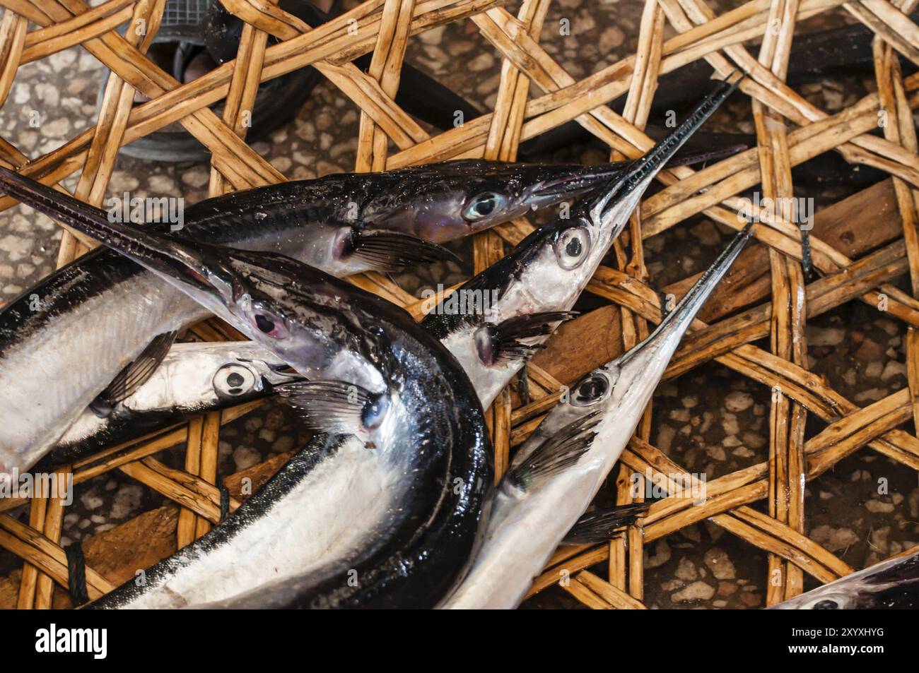 Small baracuda in a basket at the fish market at Stone Town, Zanzibar ...