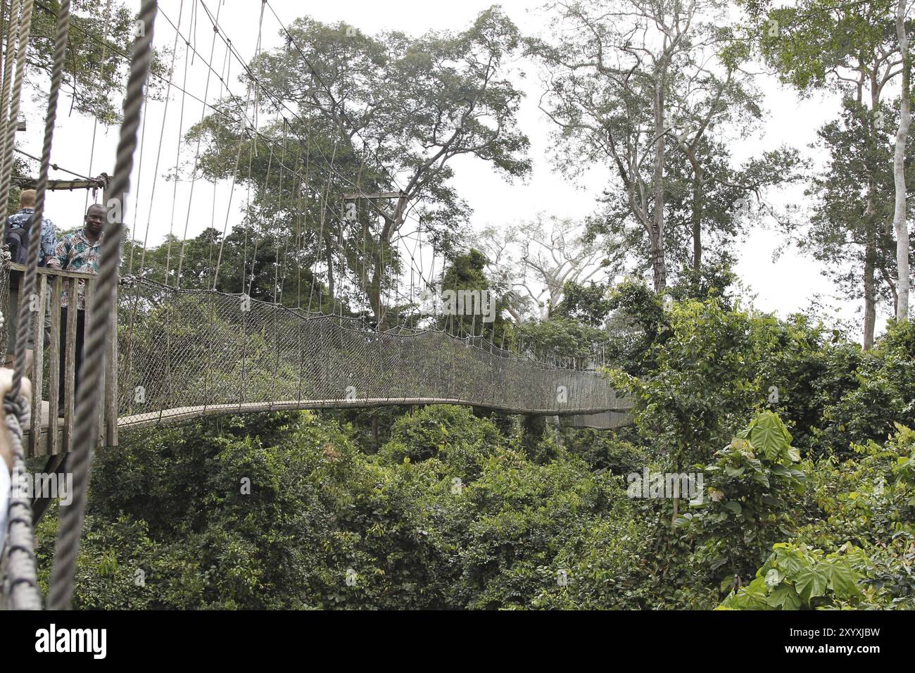 Footpath with canopy Stock Photo - Alamy