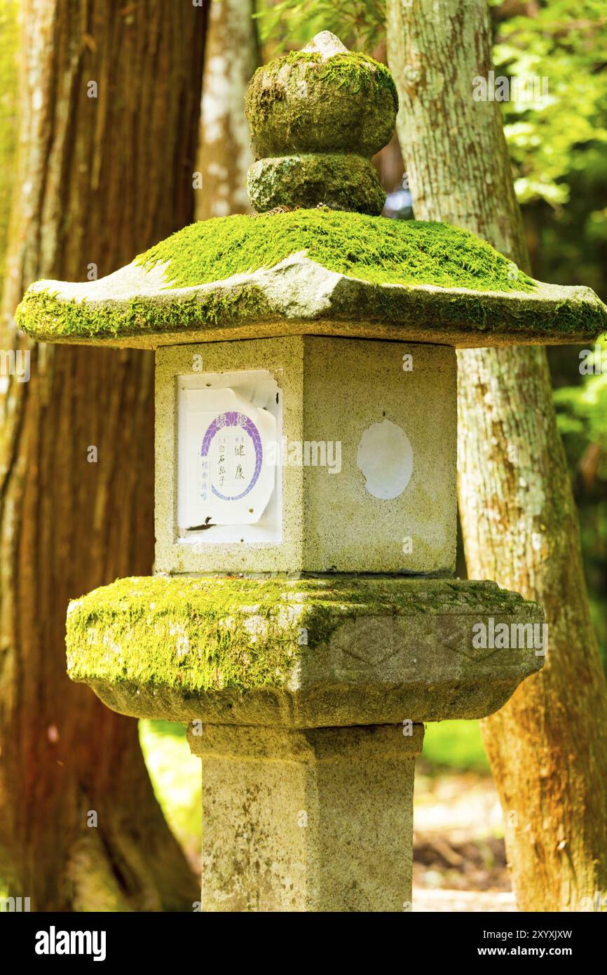 Old traditional stone lantern covered in green moss among trees at ...