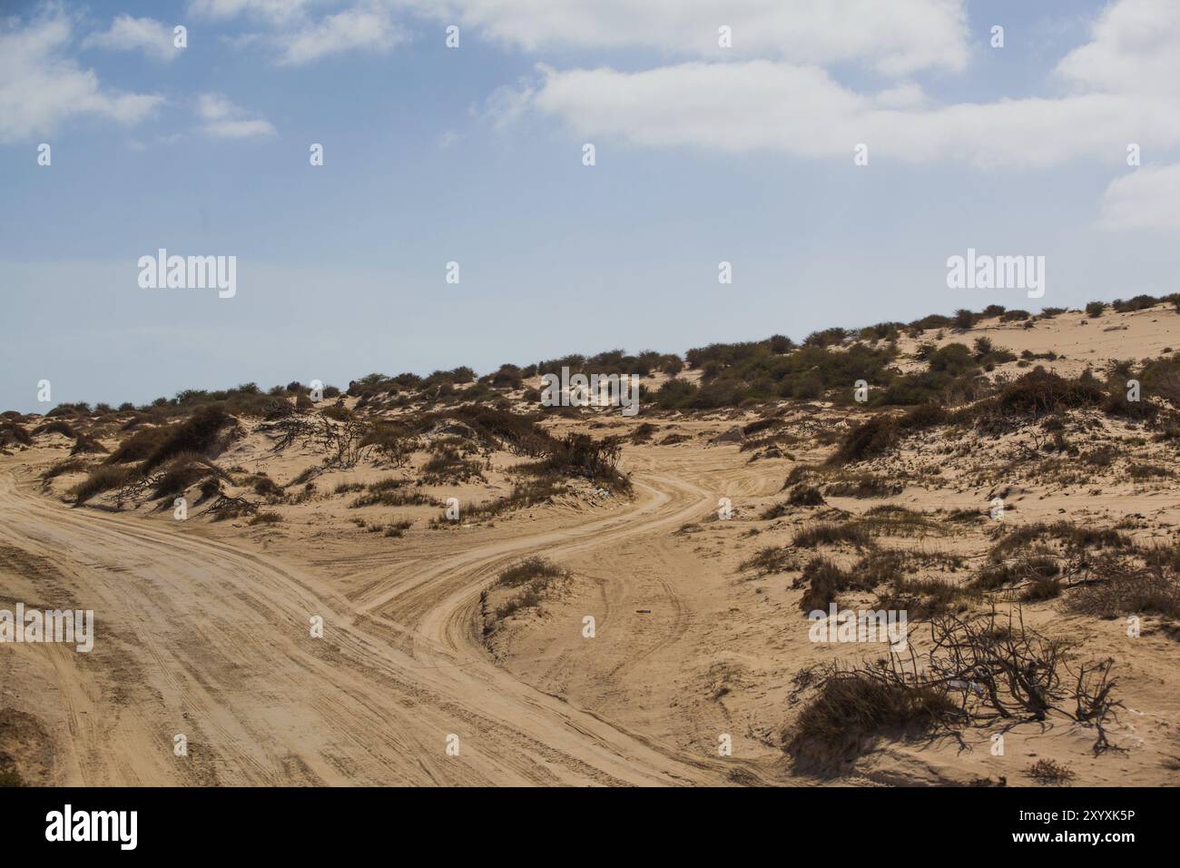 Sand dunes desert sand sand no one in wasteland hi-res stock ...