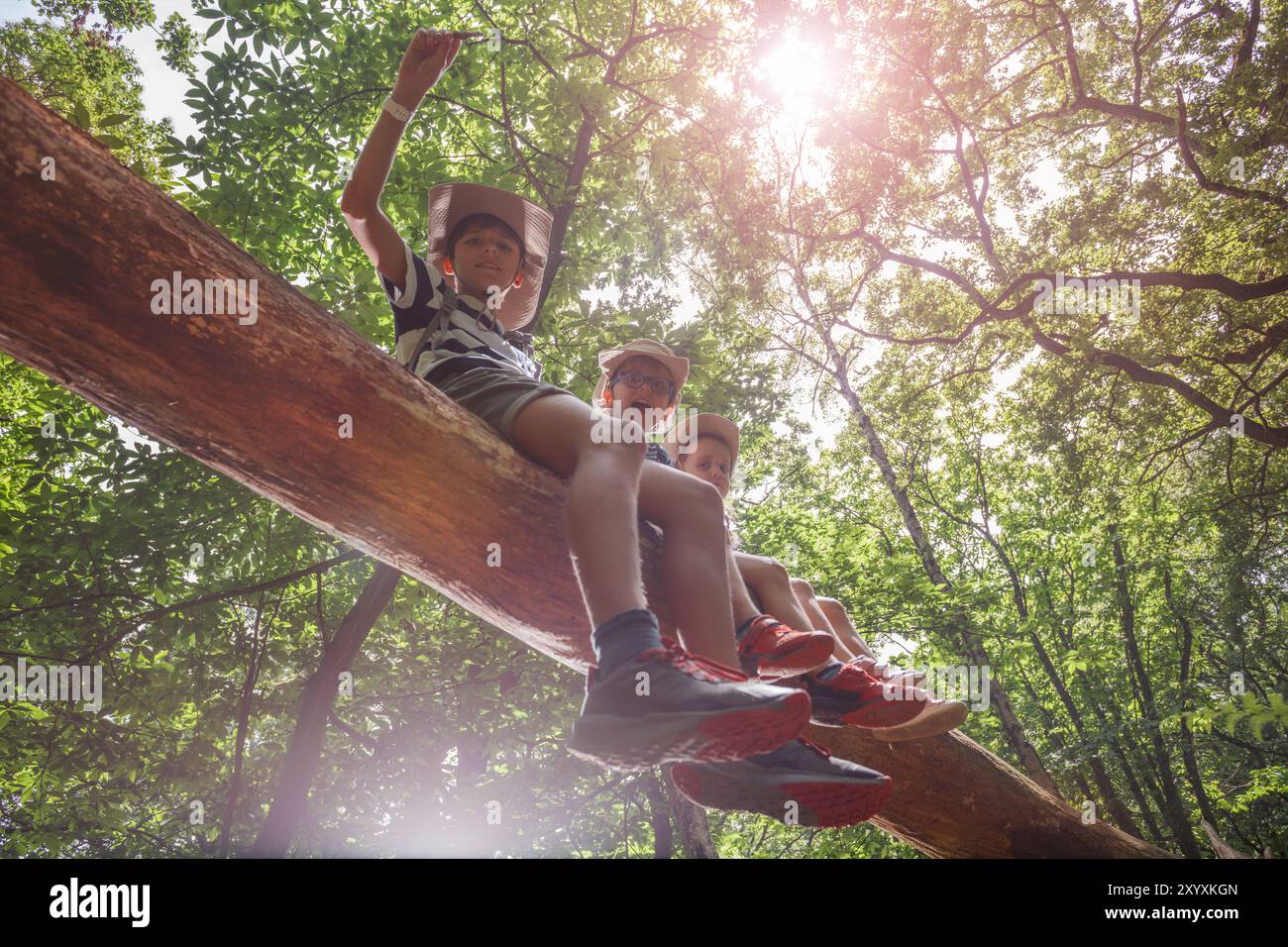 Three happy kids scouts brave sit on high log in sunlit forest Stock ...