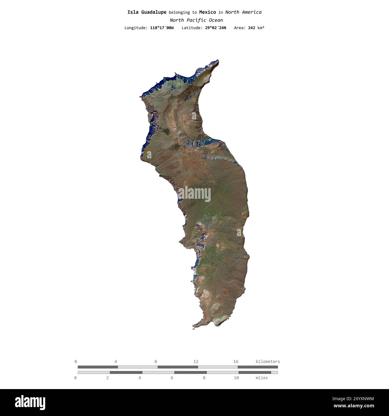 Isla Guadalupe in the North Pacific Ocean, belonging to Mexico ...