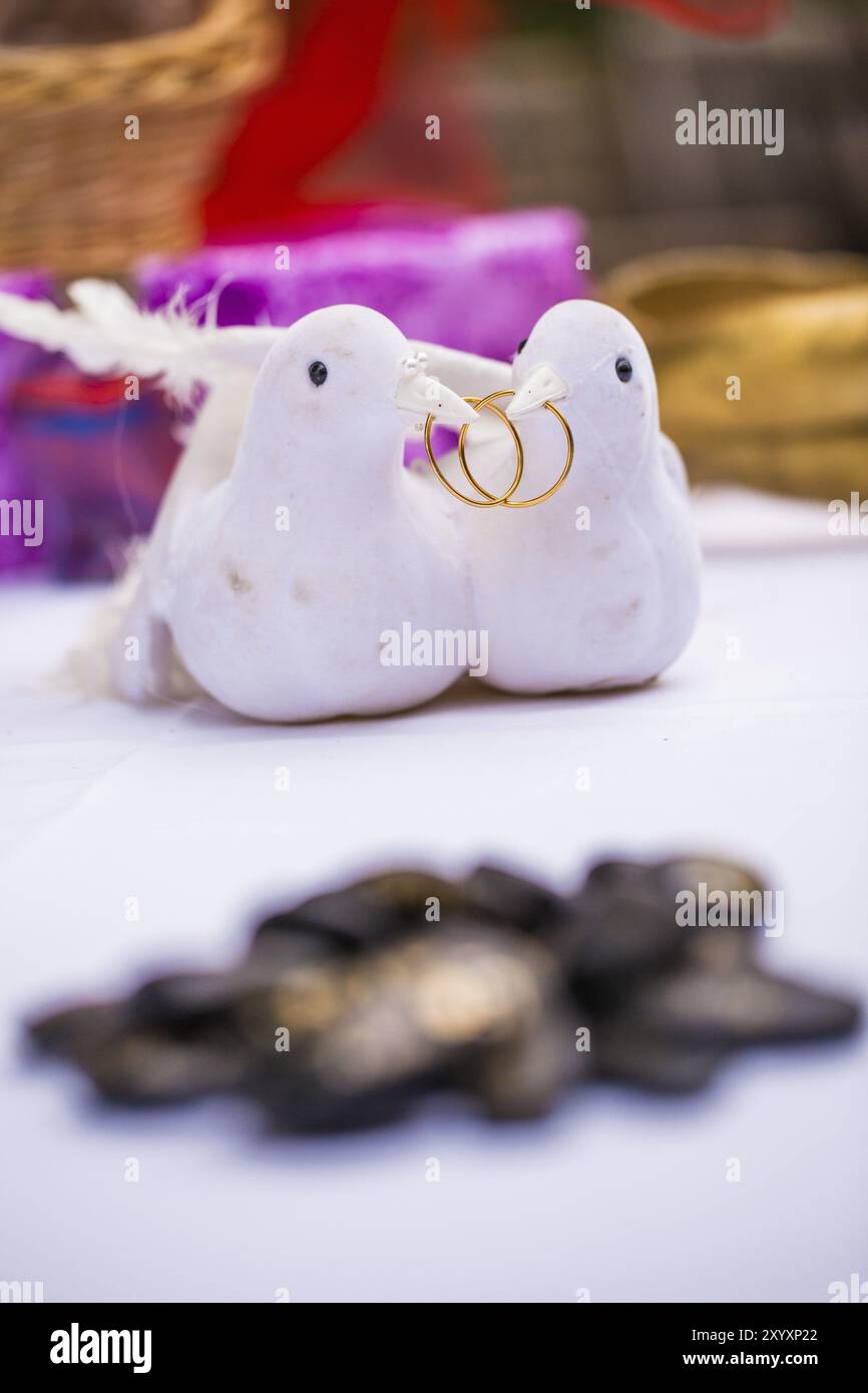 Two white doves with golden wedding rings Stock Photo - Alamy