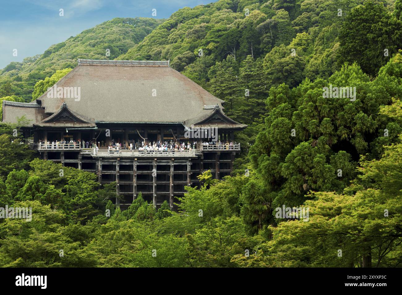 Distant view of Kiyomizu-dera temple nestled in green forest crowded ...