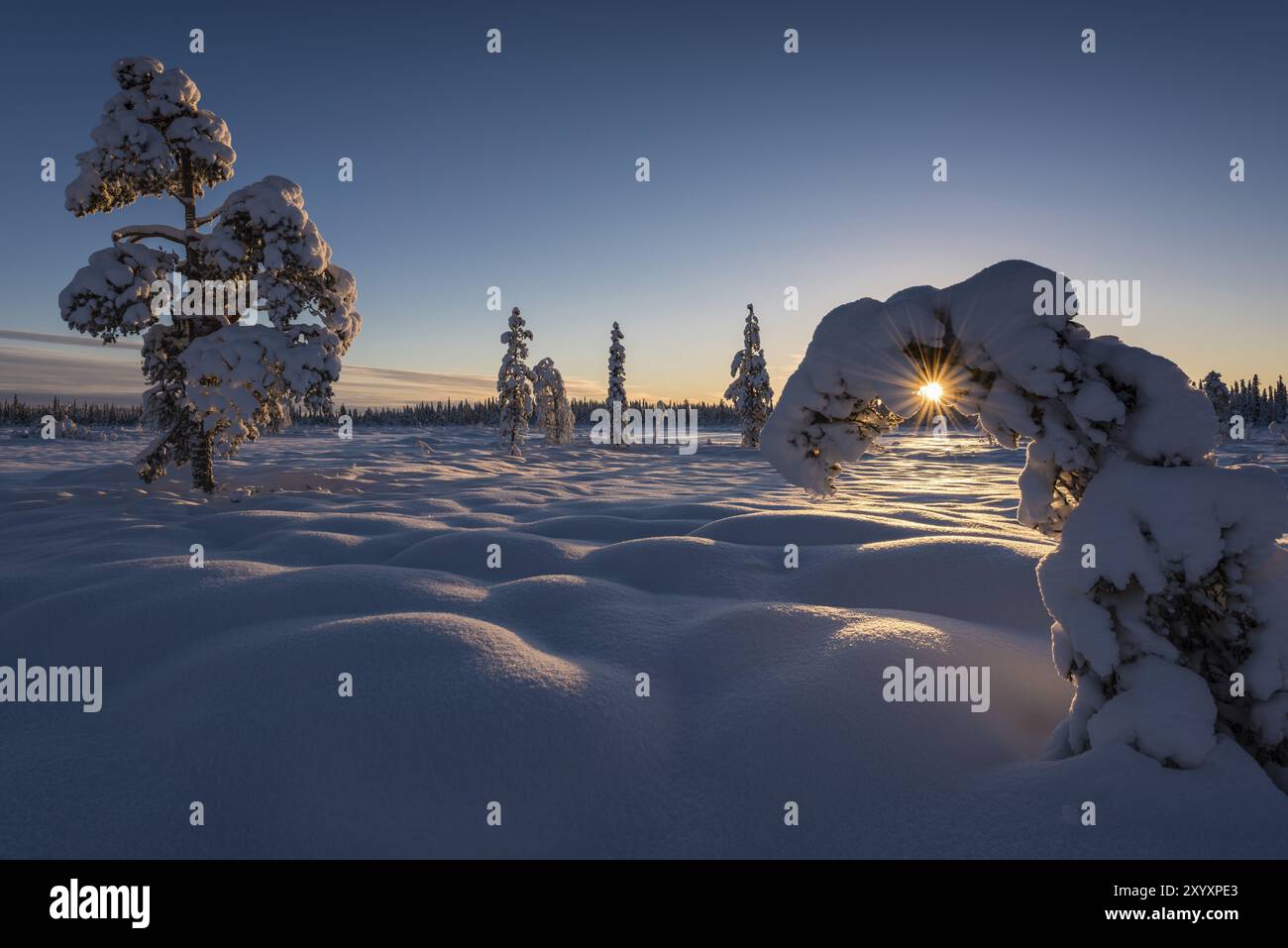 Winter landscape, Muddus National Park, Laponia World Heritage Site ...