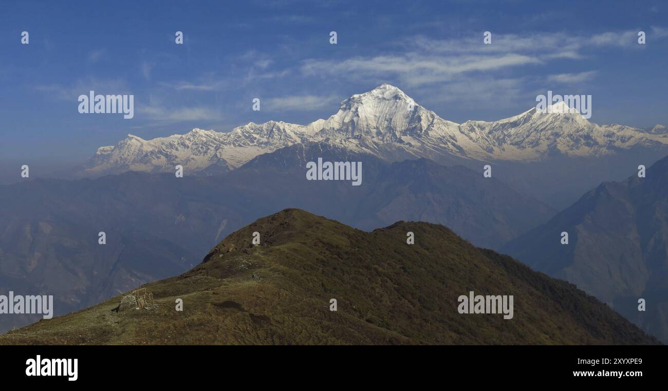 Dhaulagiri Range, view from Khopra Danda Stock Photo - Alamy