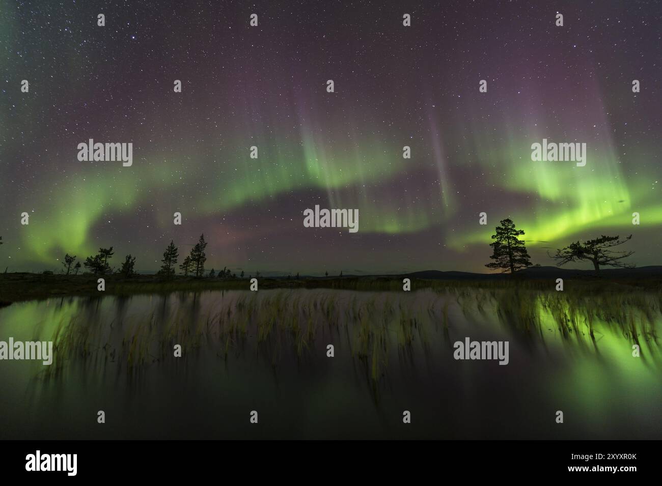 Northern Lights (Aurora borealis) reflected in a mountain lake ...