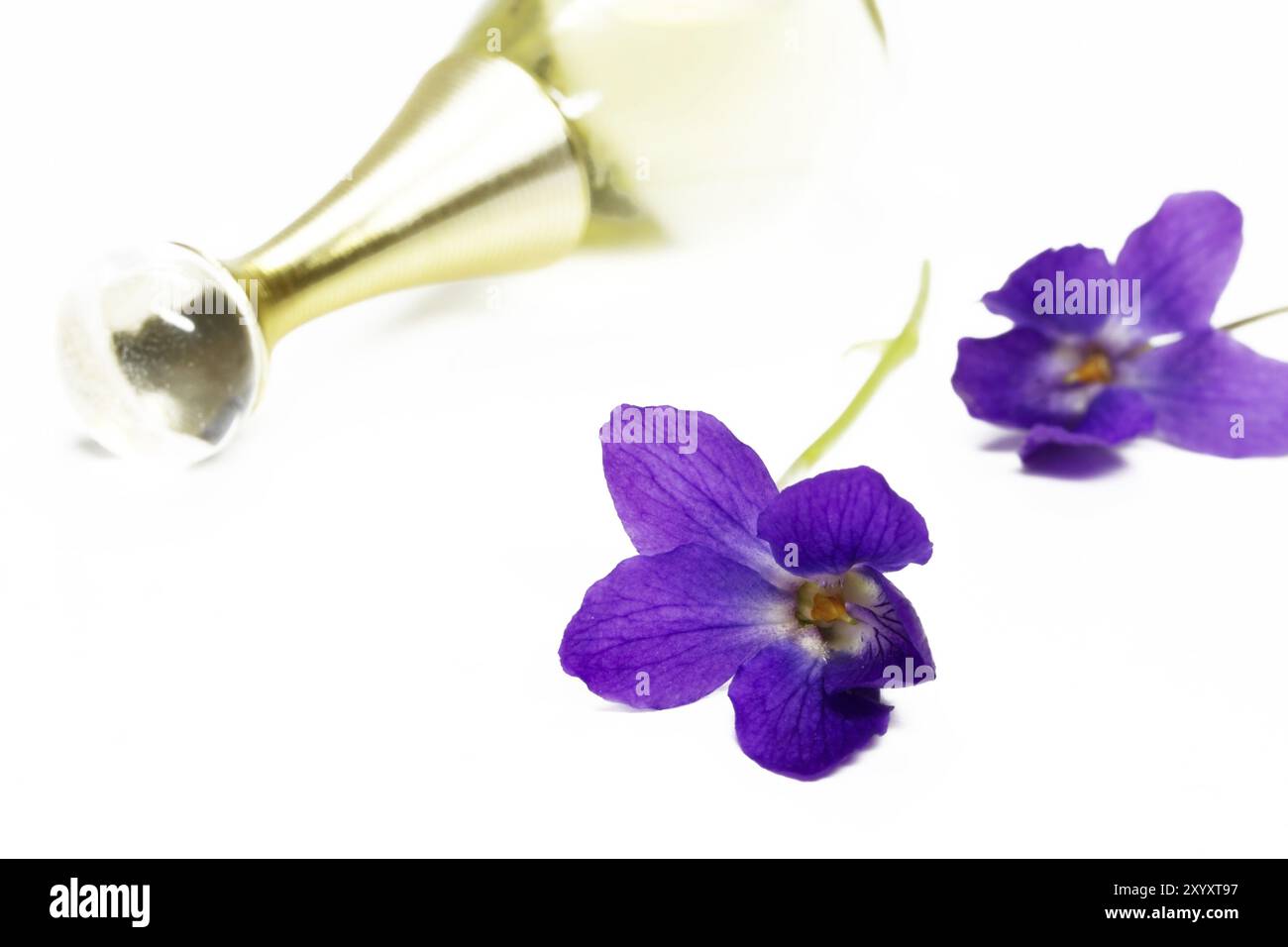 Smell of violets hi-res stock photography and images - Alamy
