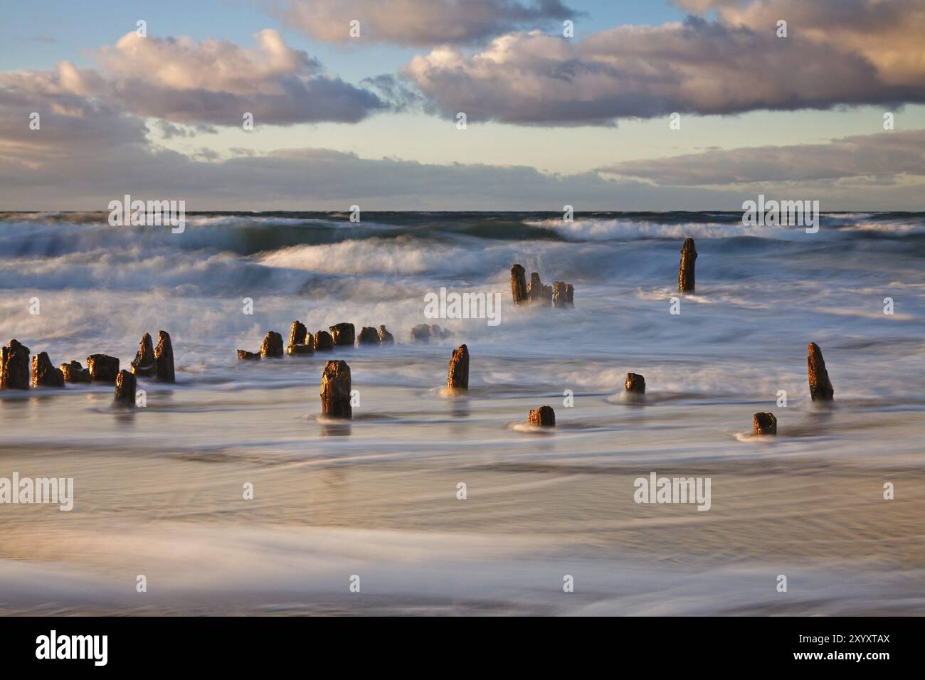 Remains of groynes on the Baltic coast Stock Photo - Alamy
