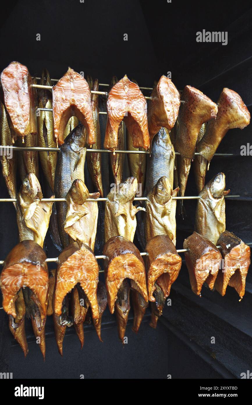 Smoked fish in the smoker Stock Photo - Alamy