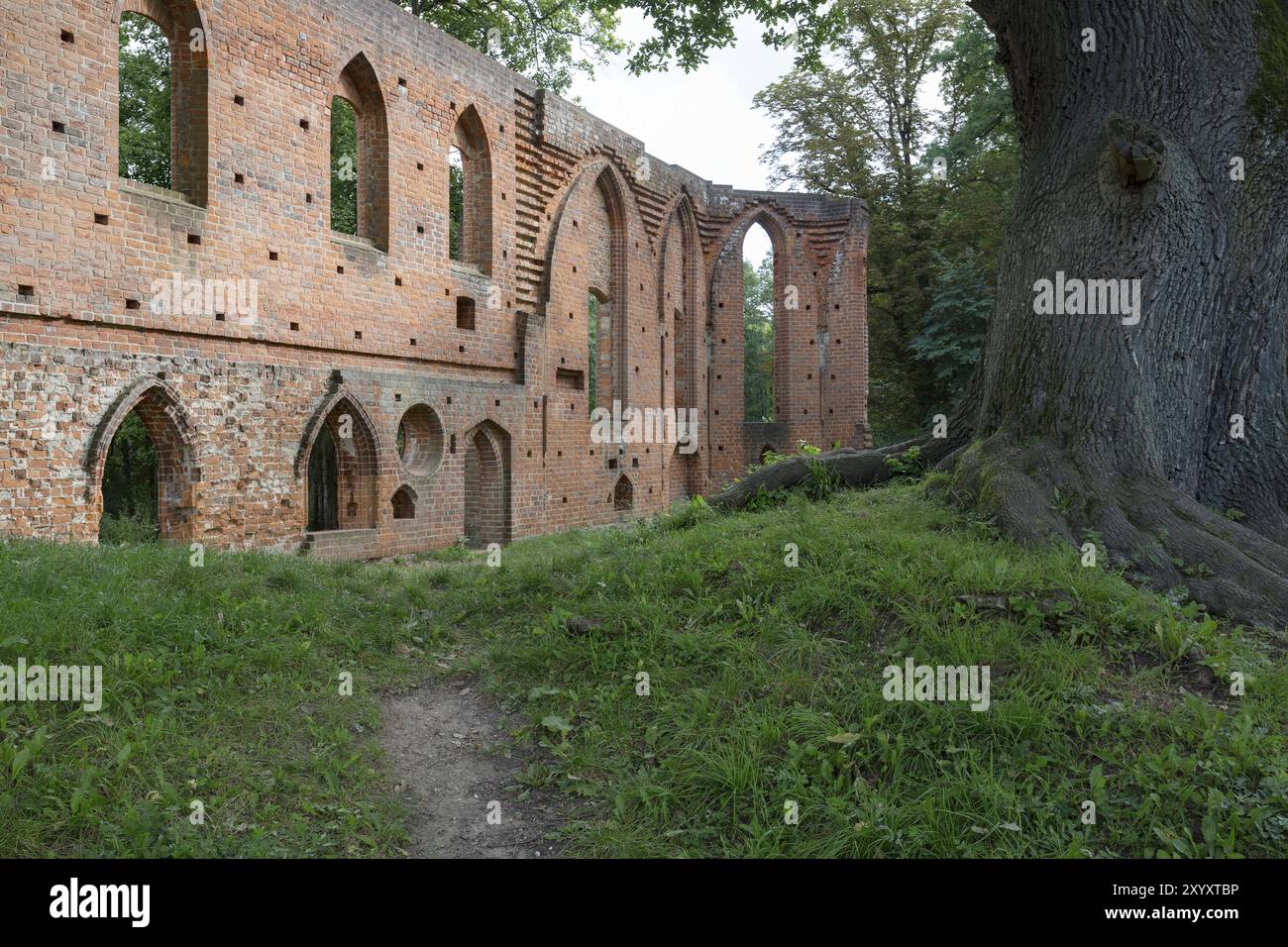 Ruin monastery convent brick hi-res stock photography and images - Alamy