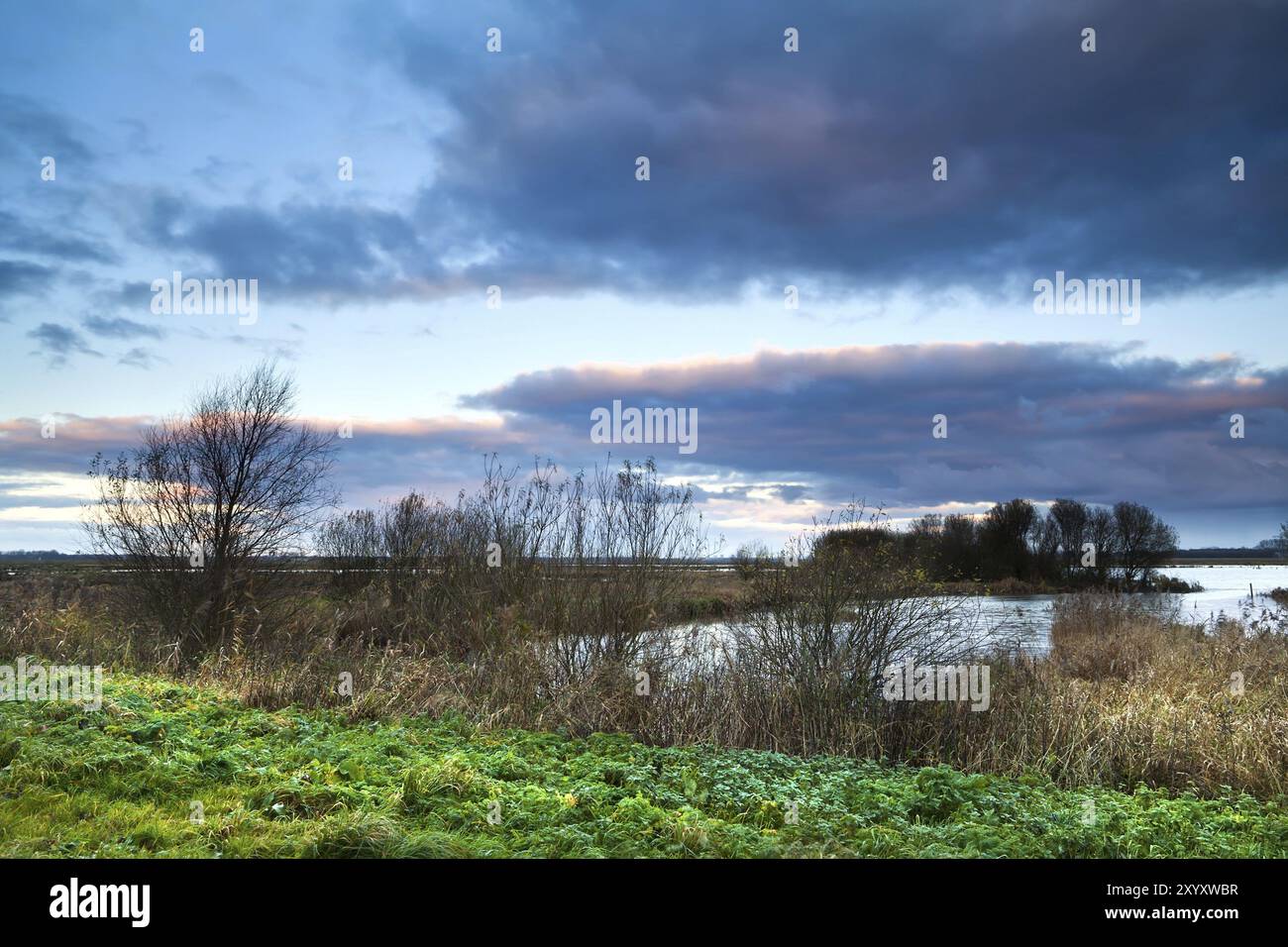 Dramatic sunrise over swamp in Groningen, Netherlands Stock Photo - Alamy