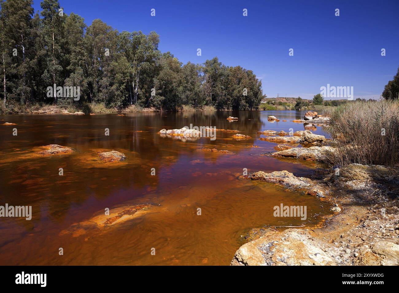 Acidic river hi-res stock photography and images - Alamy