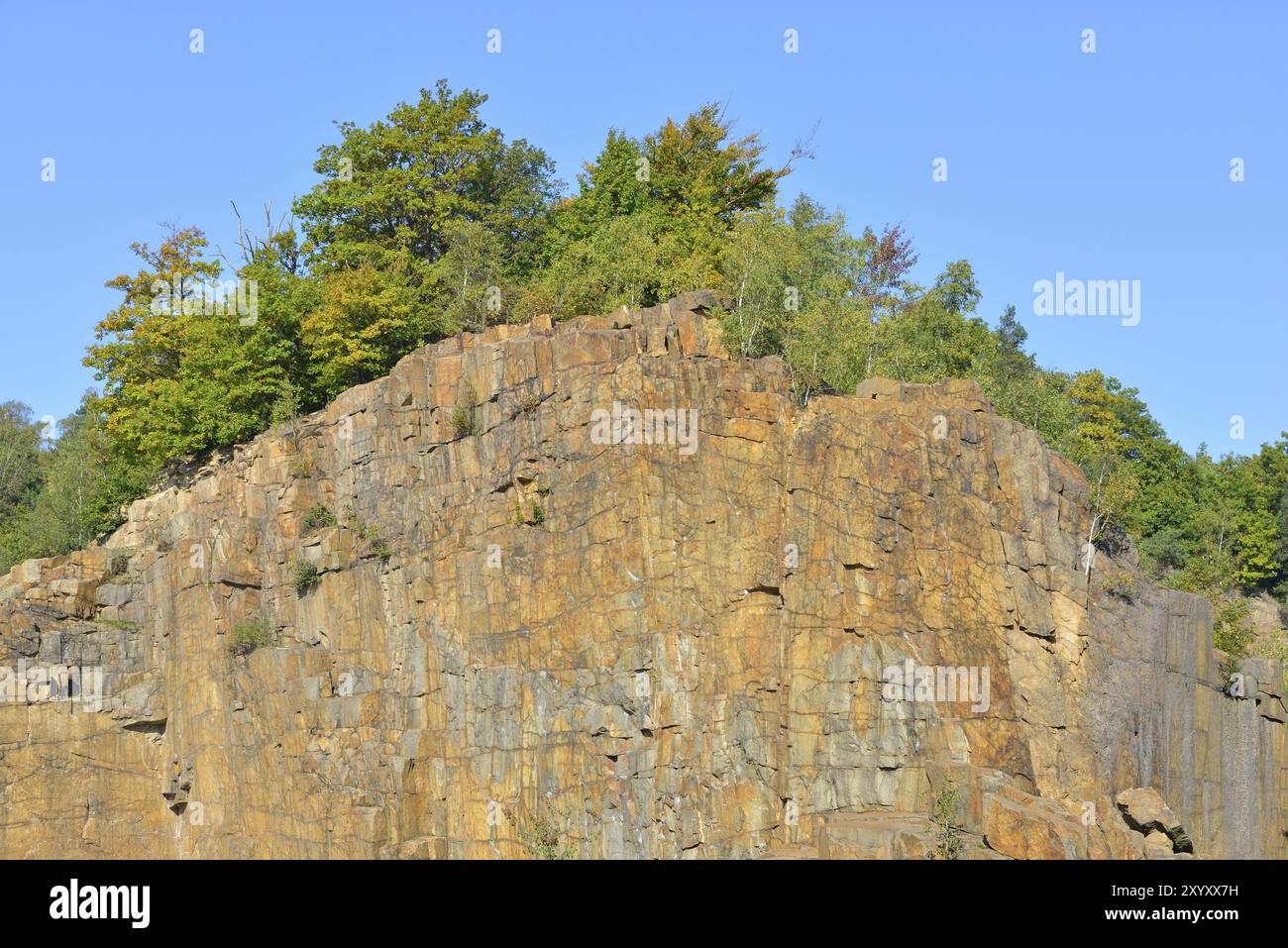 The high stone in the Koenigshainer mountains Stock Photo - Alamy