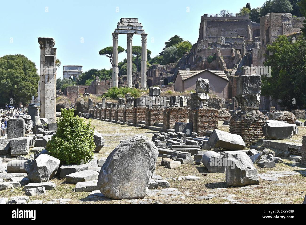 Area of the Basilica Julia, rubble field Stock Photo - Alamy