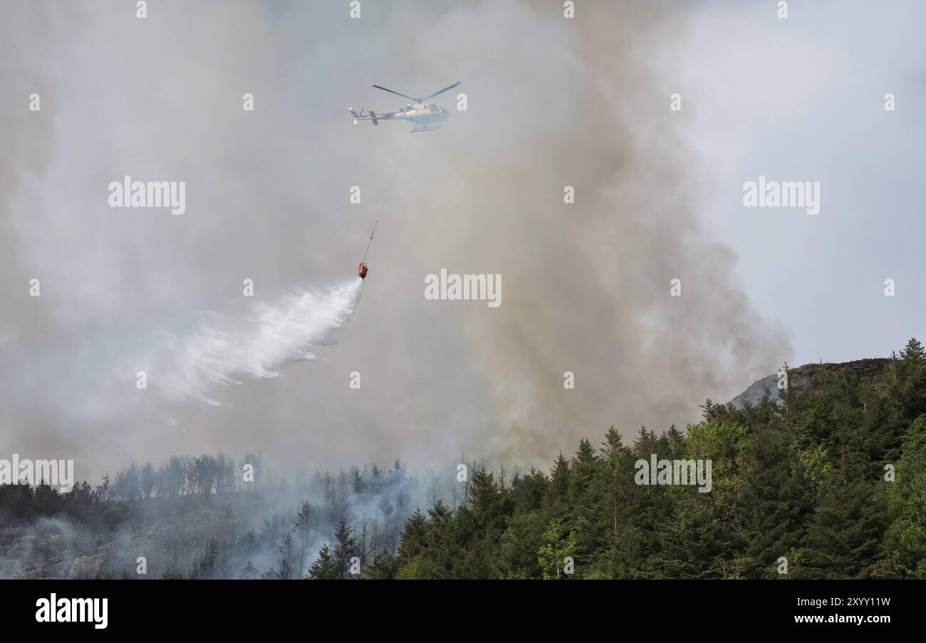 A helicopter drops extinguishing water over a forest fire in Norway ...