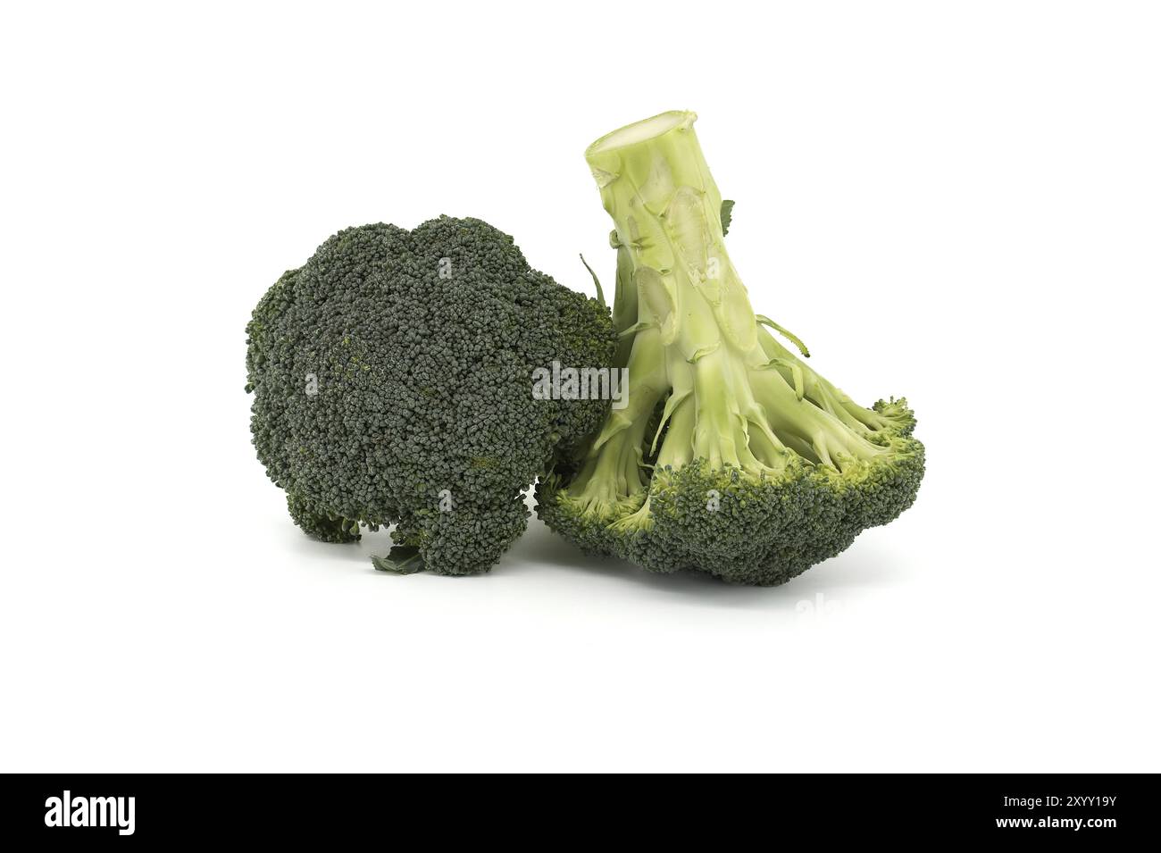 Broccoli flower heads isolated on white background, full depth of field ...