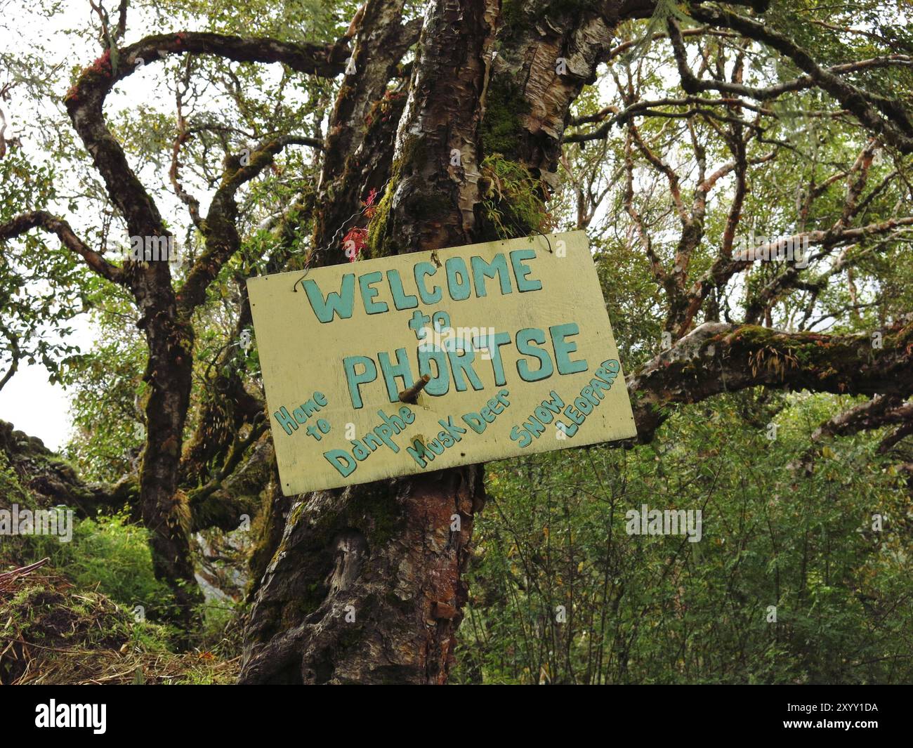 Welcome sign in Phortse, Everest National Park, Nepal, Asia Stock Photo ...