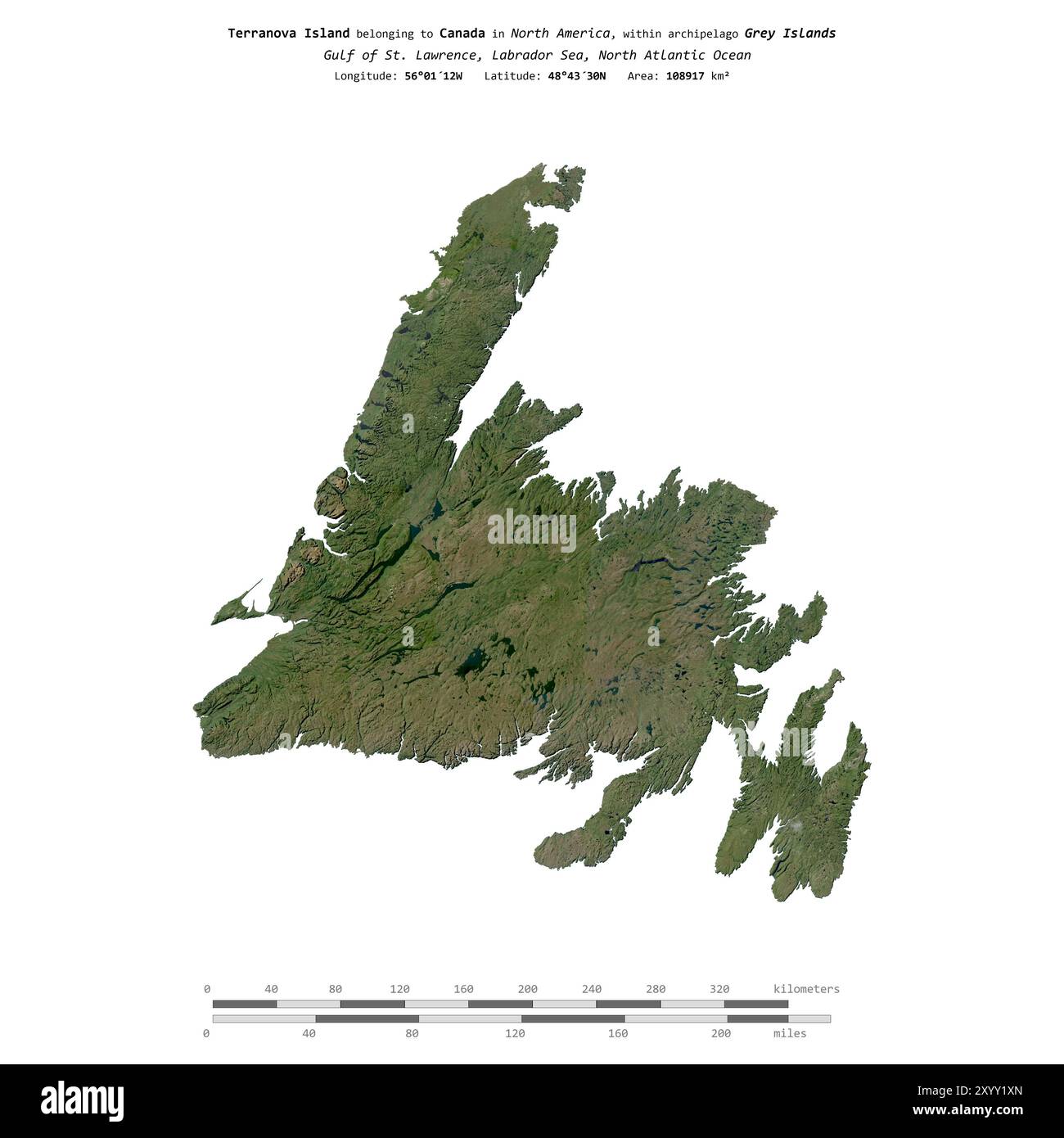 Terranova canada Cut Out Stock Images & Pictures - Alamy