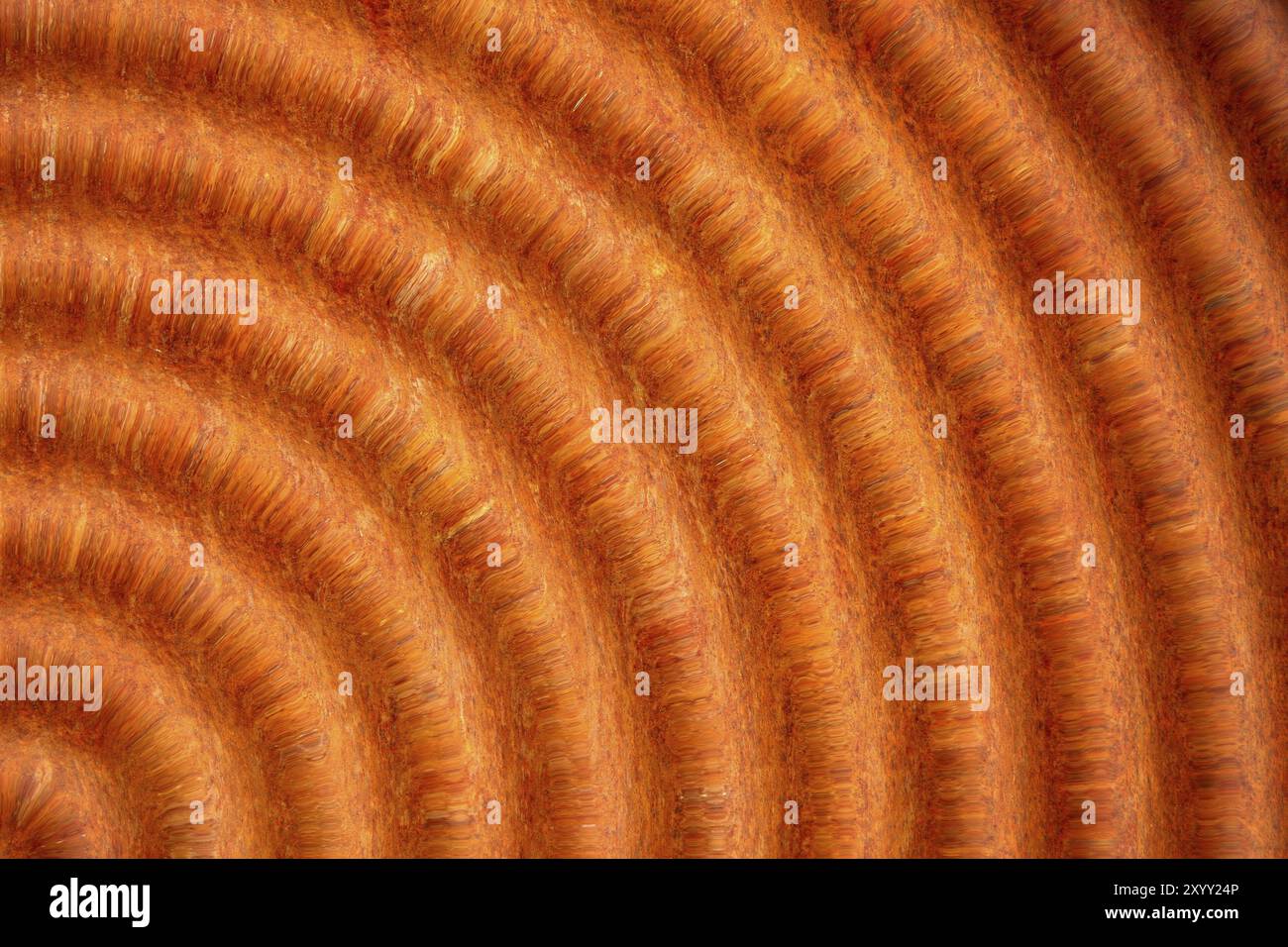 Centric circles in the design of a Stock Photo - Alamy