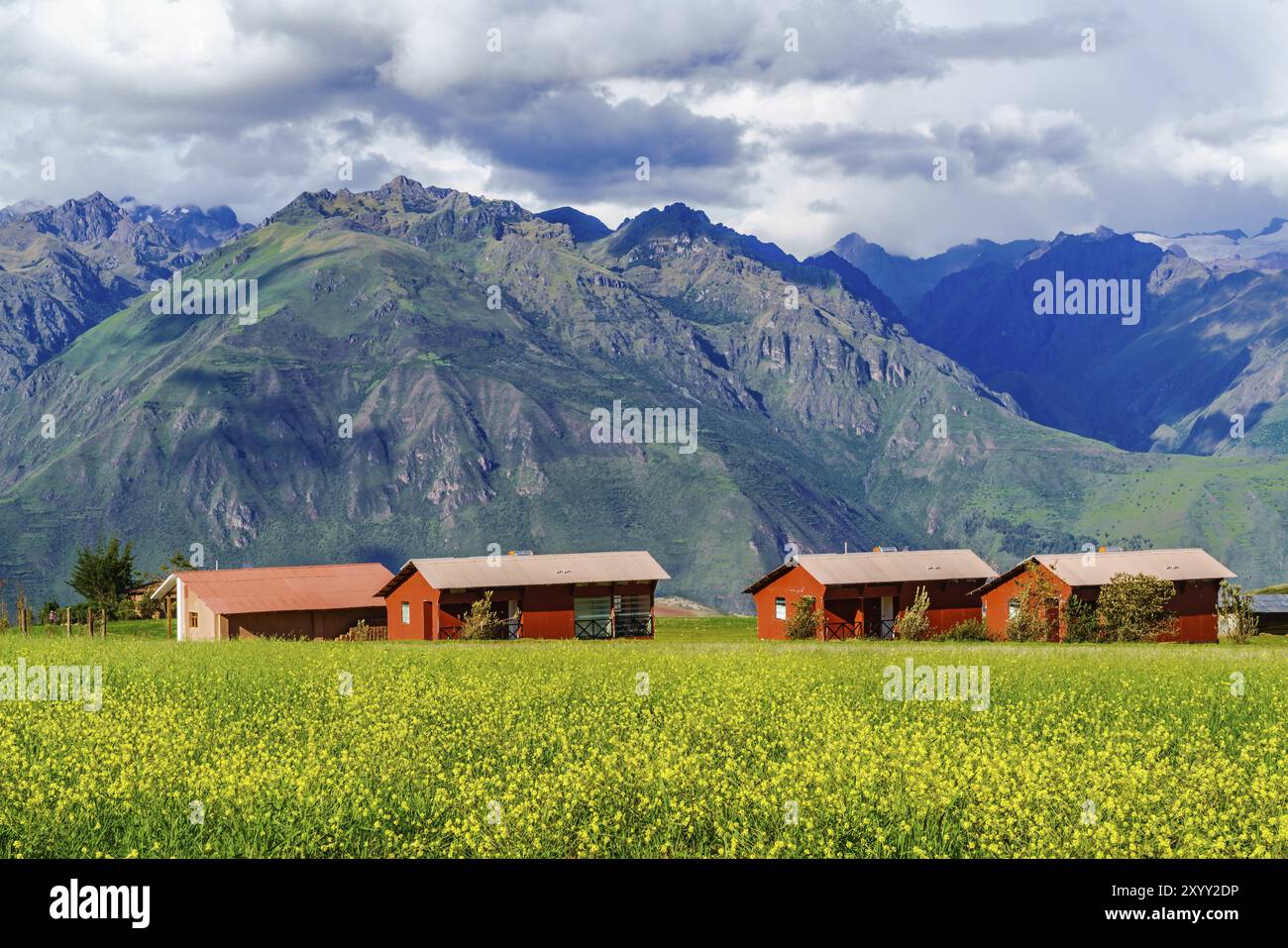 View of mountain and the field of yellow flower in Sacred Valley of the ...