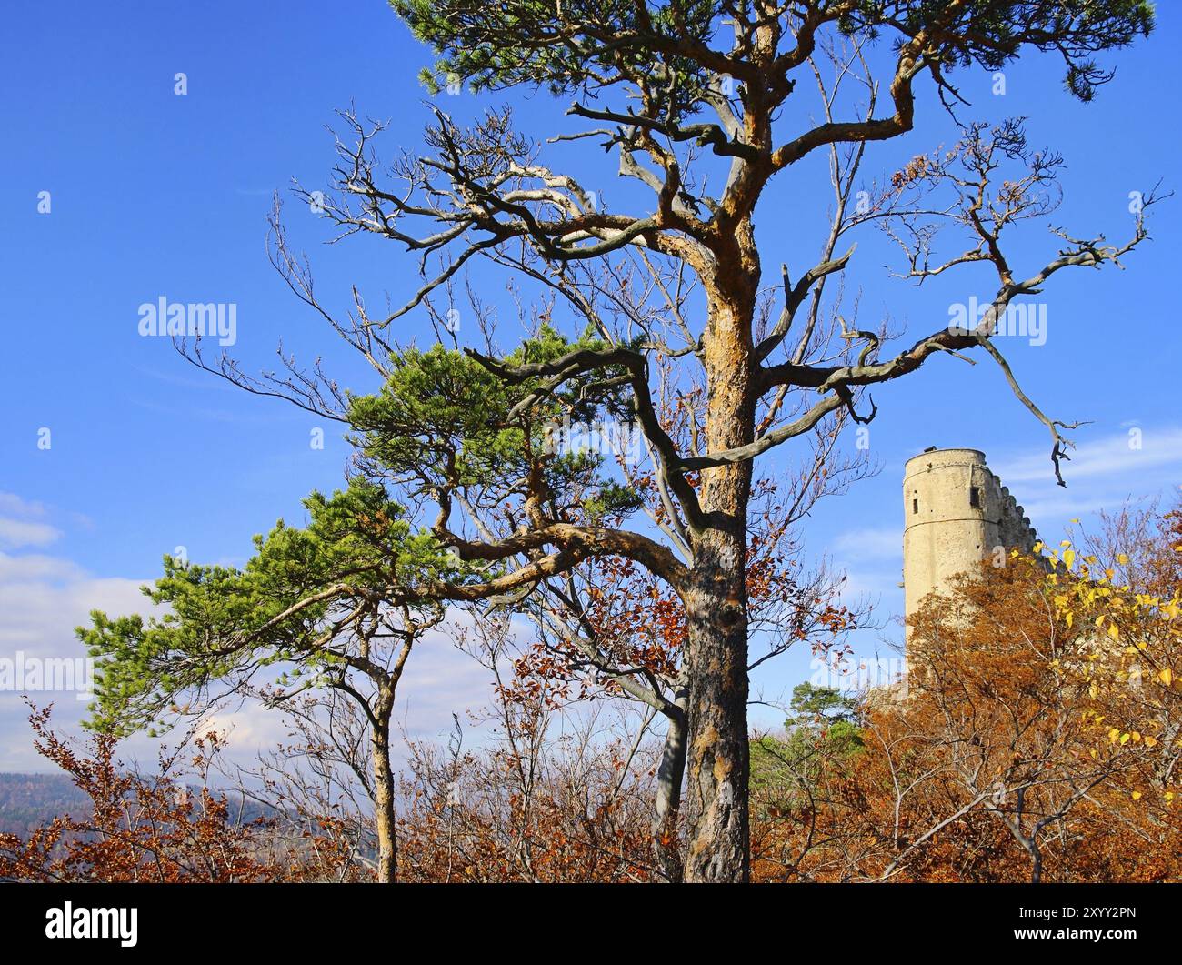 Kynast castle hi-res stock photography and images - Alamy