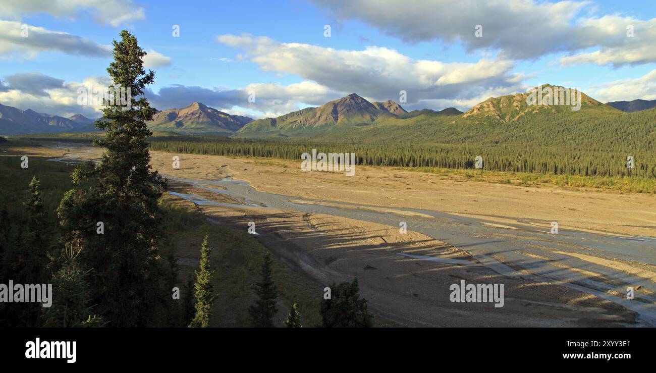 Swampy landscape alaska hi-res stock photography and images - Alamy
