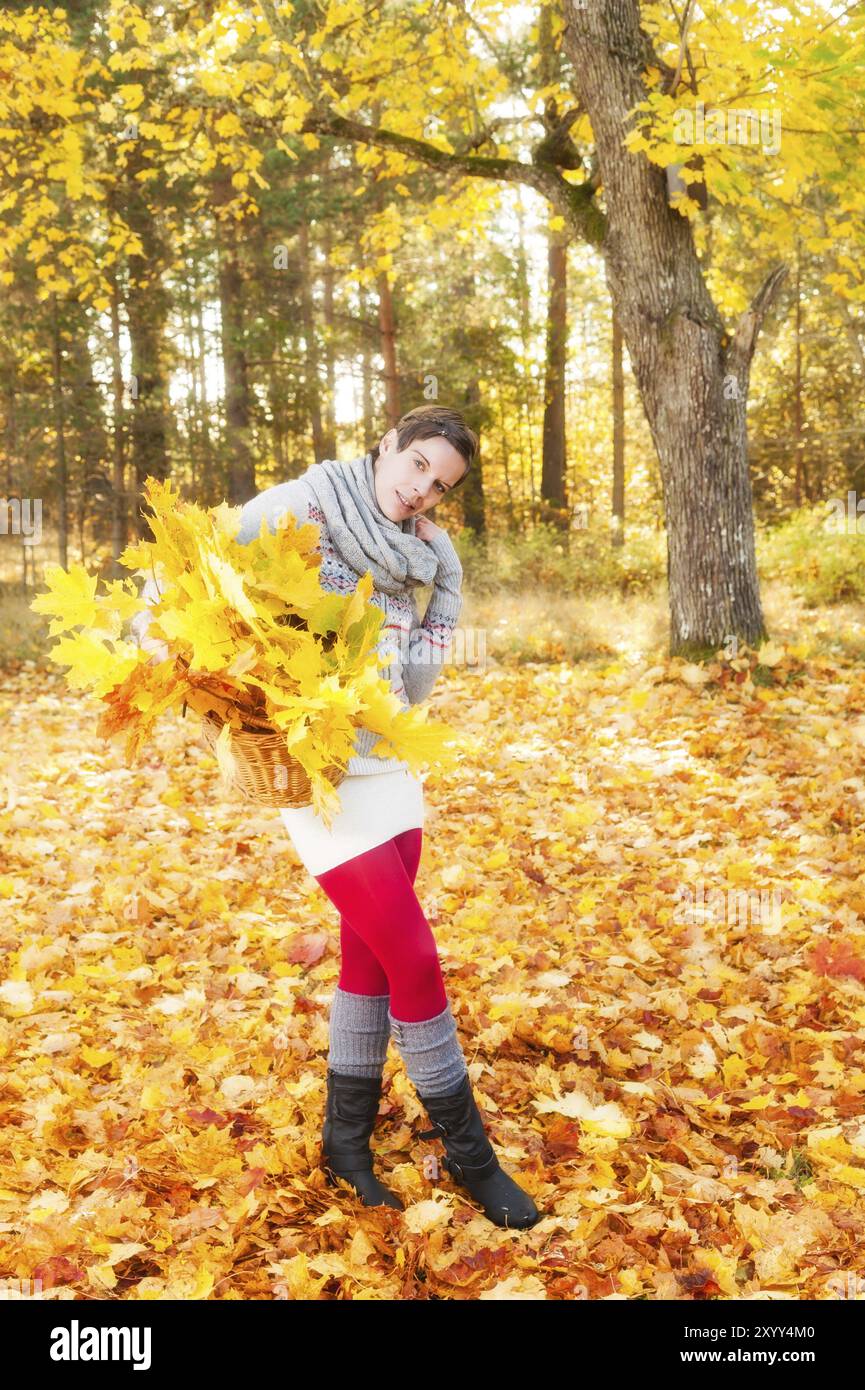 Fall leaves collect female basket hi-res stock photography and images ...
