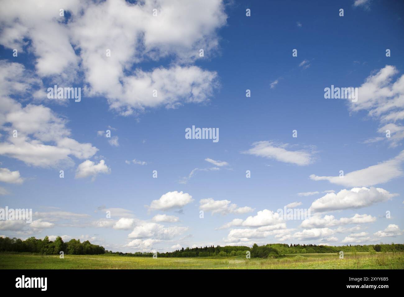 Spring Meadow. Forest and Blue Sky With Clouds Stock Photo - Alamy