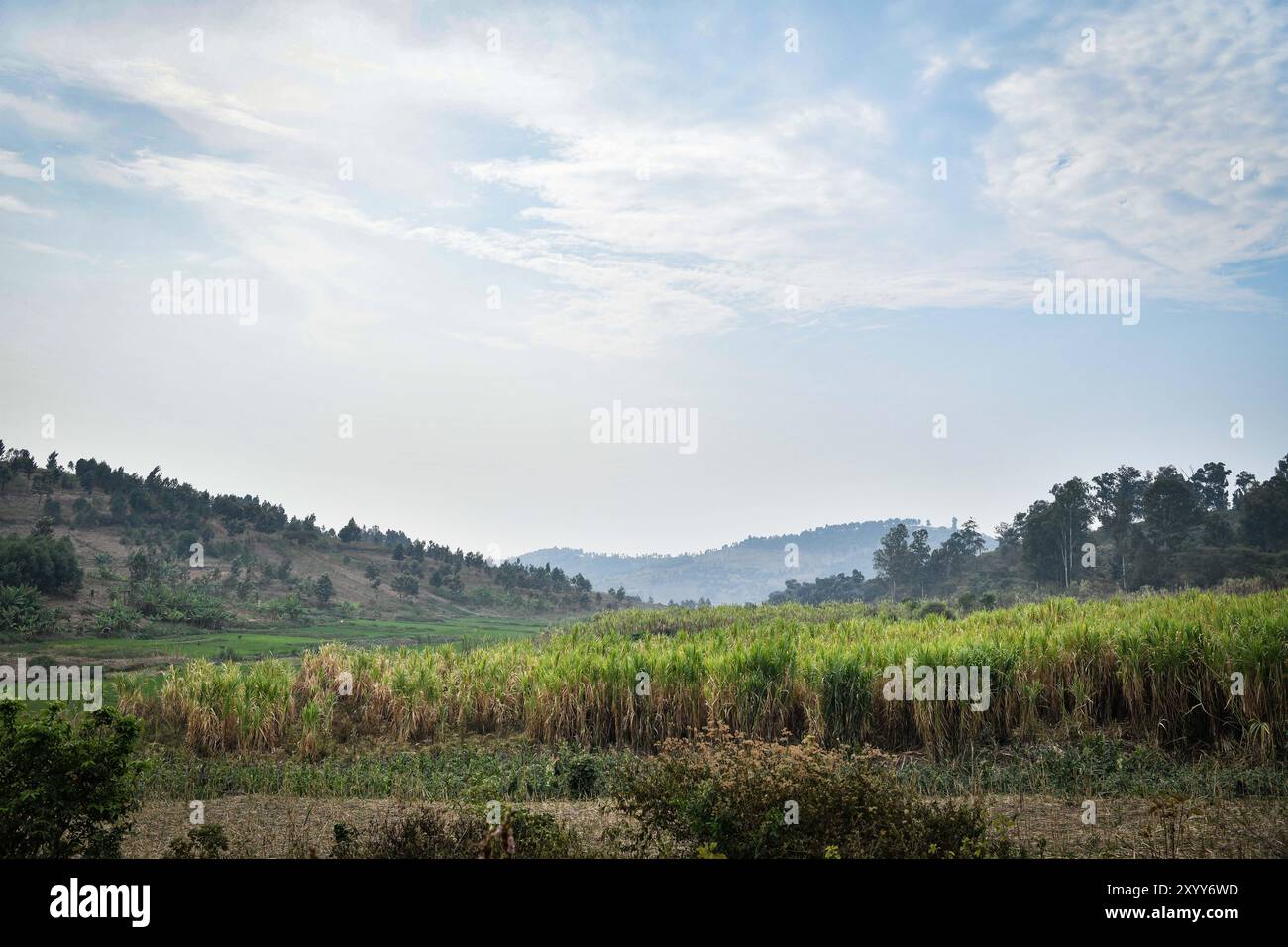 (240831) -- NAIROBI, Aug. 31, 2024 (Xinhua) -- This photo taken on Aug. 15, 2024 shows a view of ...