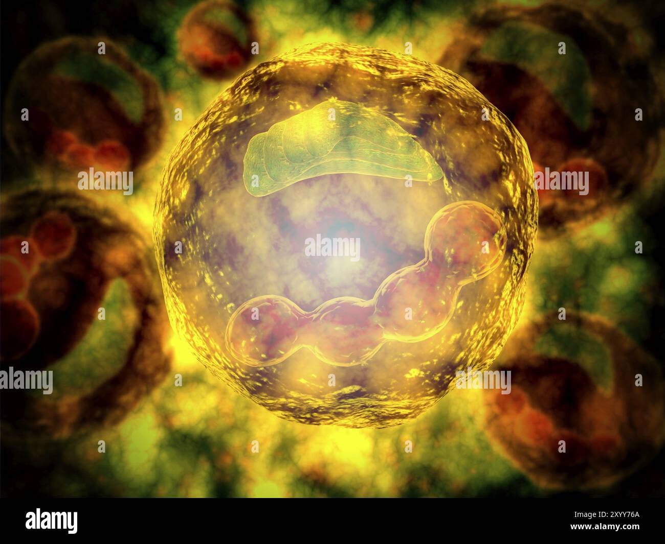 Human cell hi-res stock photography and images - Alamy