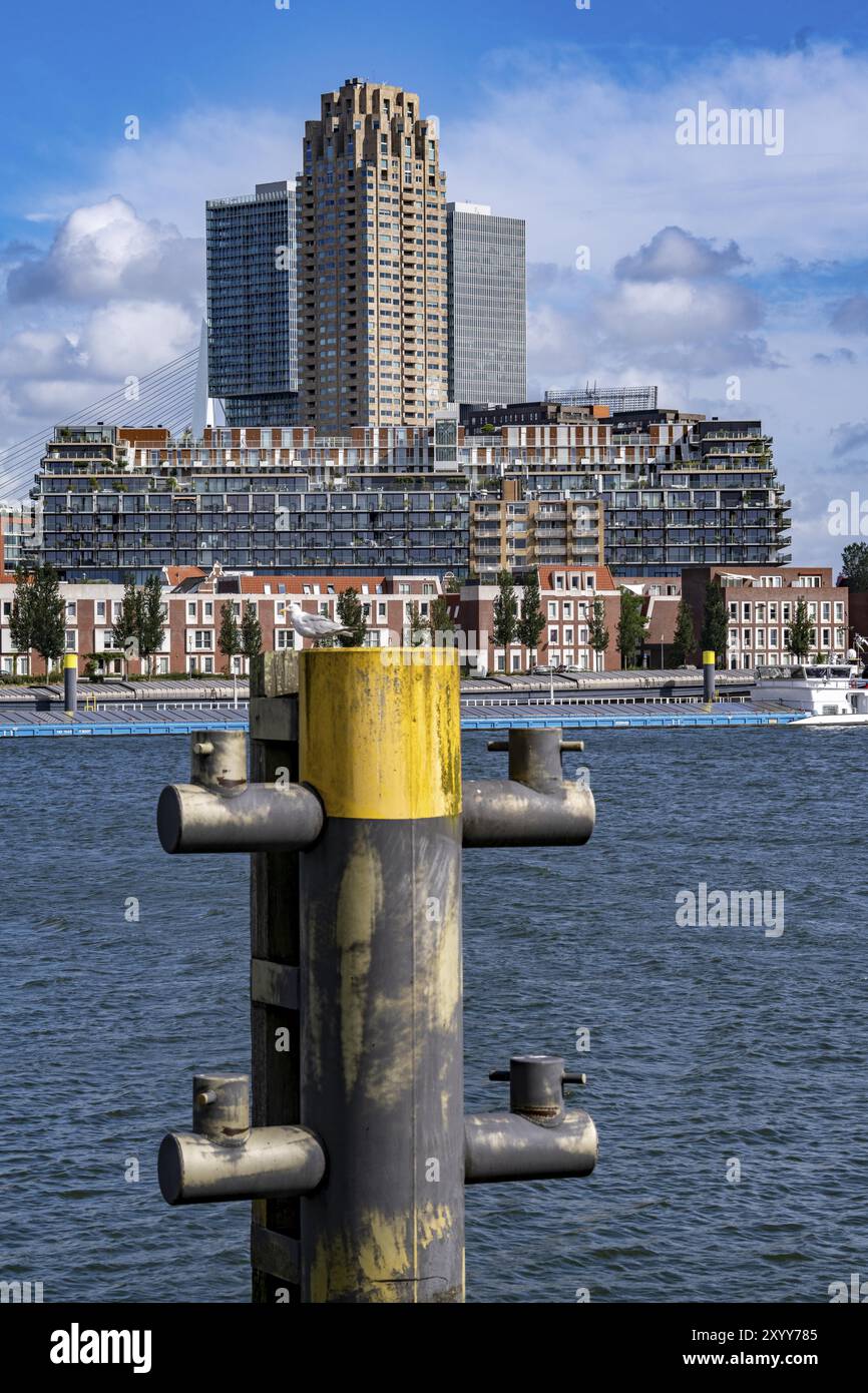 Harbour basin of the Maashaven, inland waterway port, jetties ...
