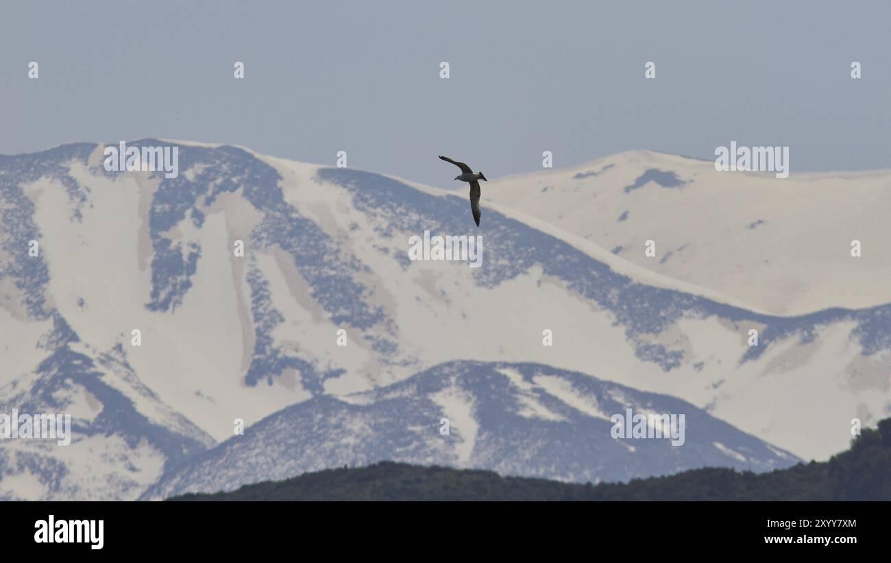 Backdrop of pale sky hi-res stock photography and images - Alamy