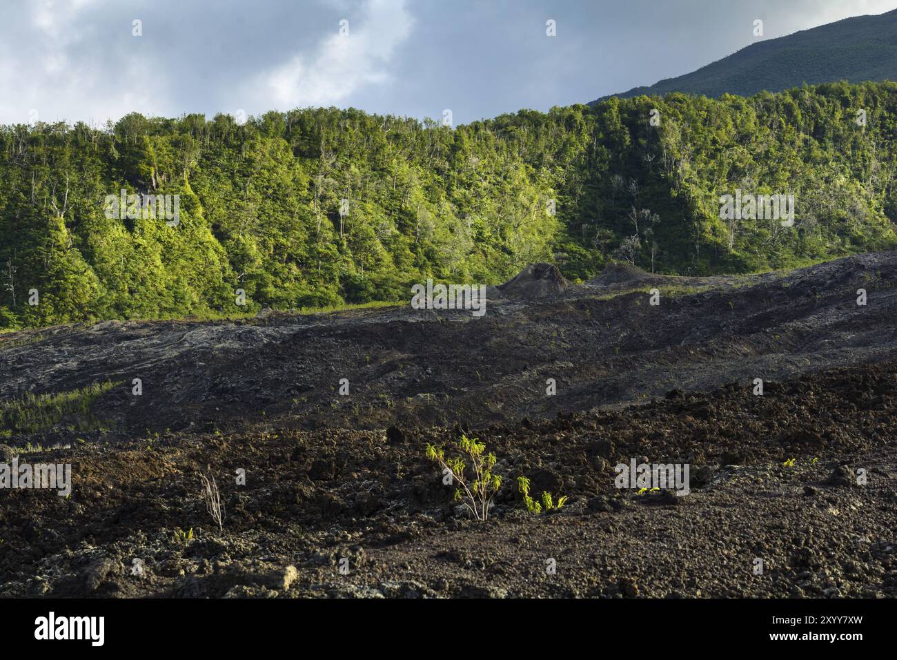 Old crater of Fournaise volcano at Reunion Island near coastline Stock ...