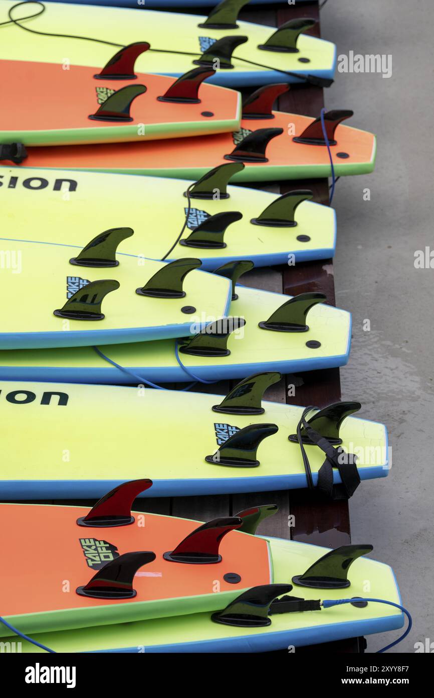 Surfboards, fins, surfing facility in the city centre of Rotterdam ...