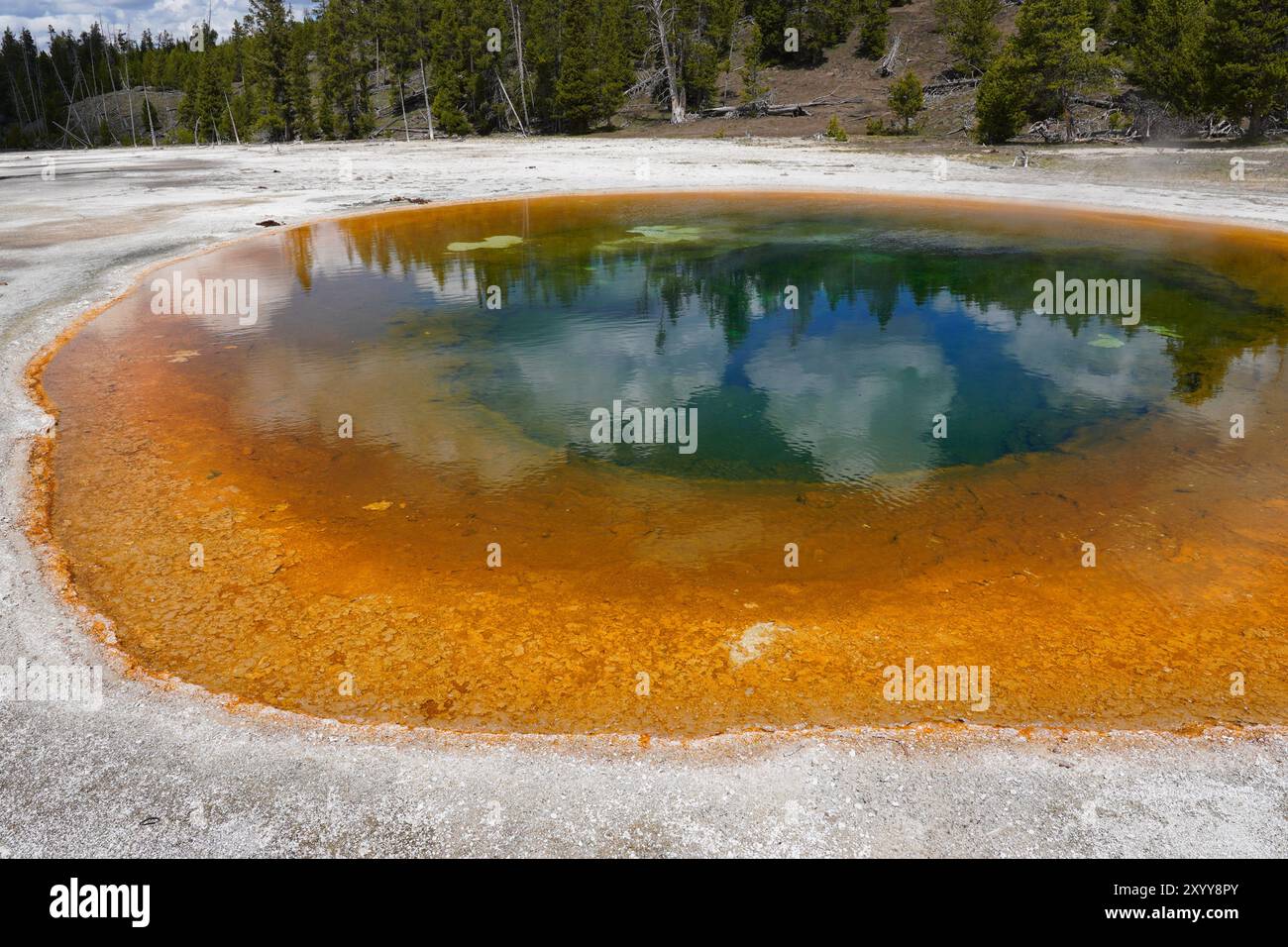 Thermophiles yellowstone hi-res stock photography and images - Alamy