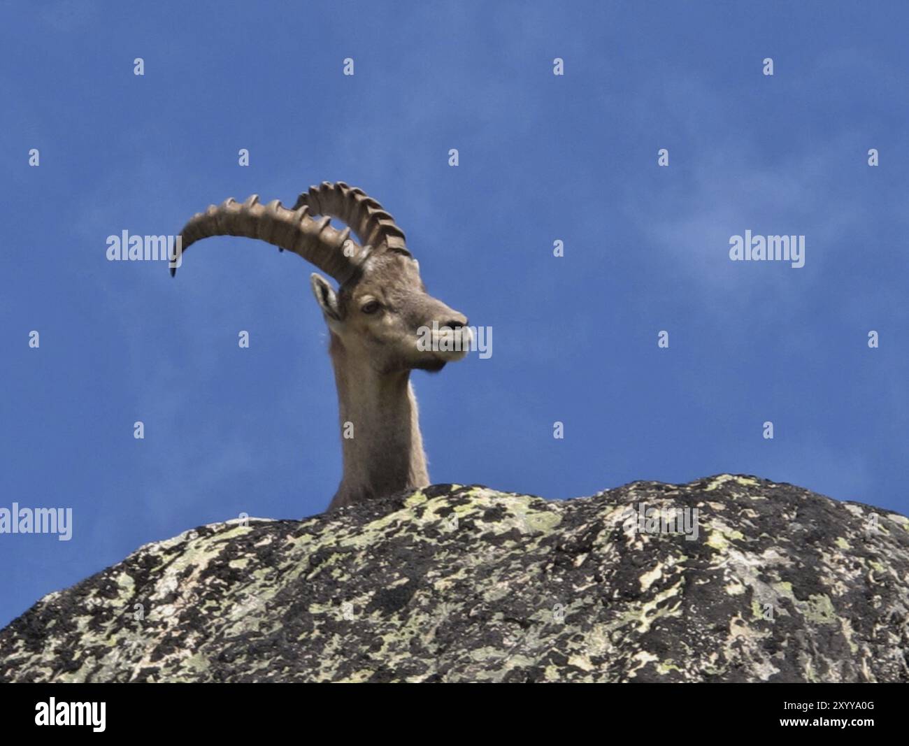 Photo realistic landscapes hi-res stock photography and images - Alamy