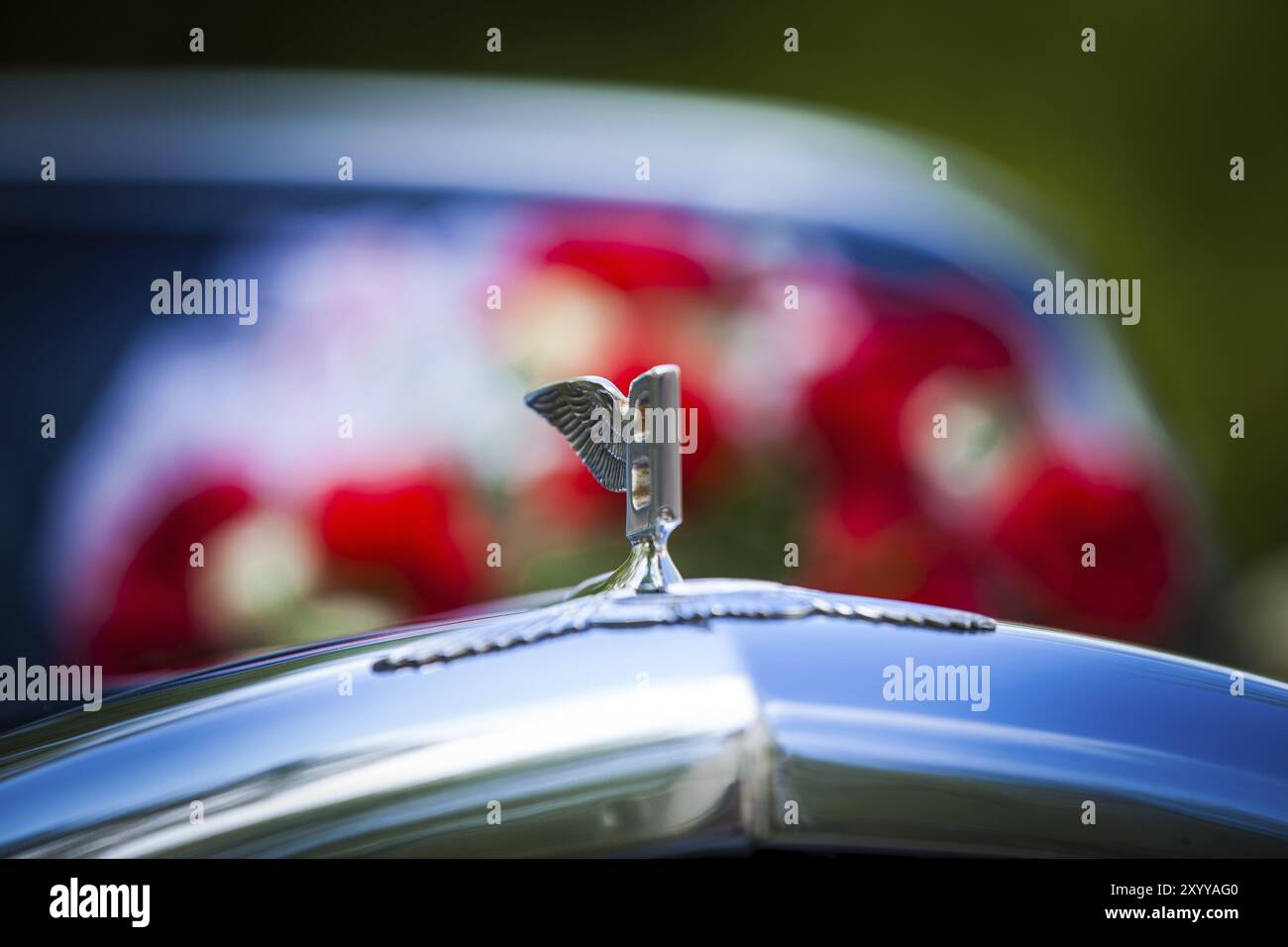 Radiator figure letter b with wings on a Bentley Stock Photo - Alamy