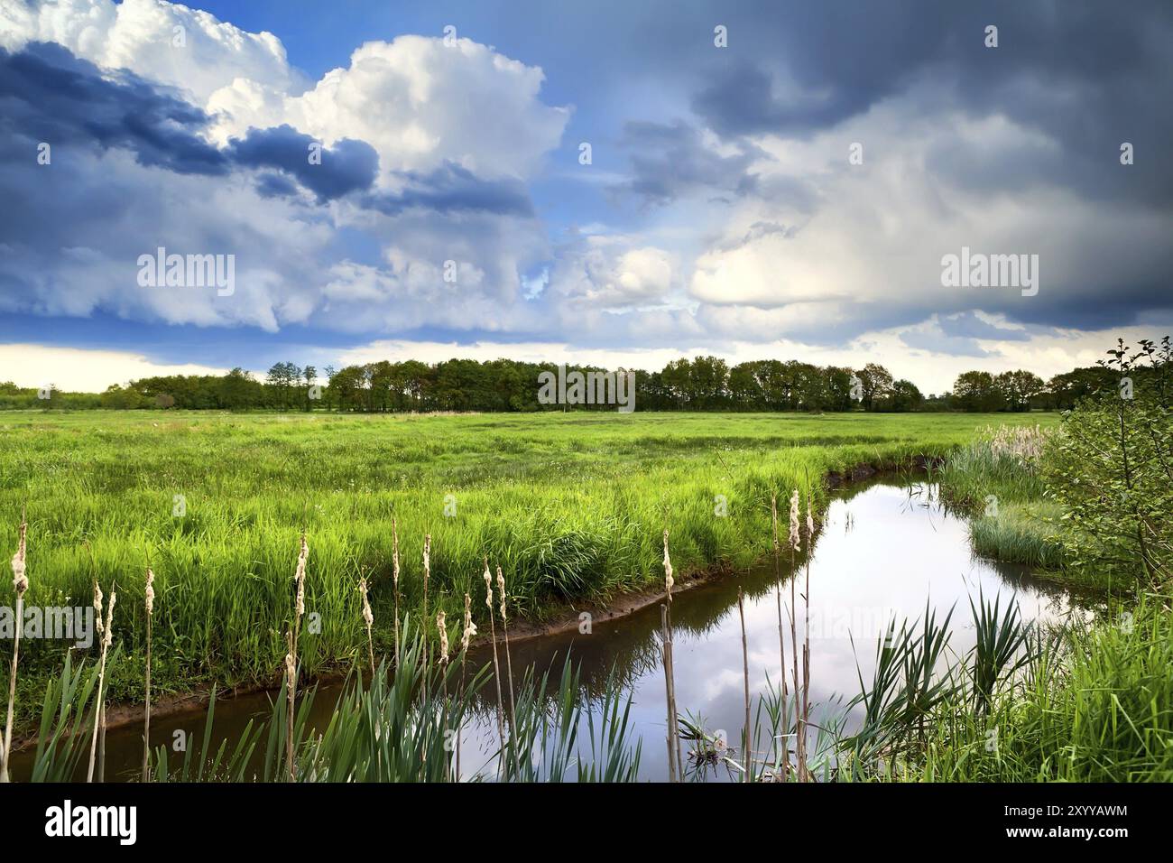 Beautiful blue cloudscape over wild river Stock Photo - Alamy
