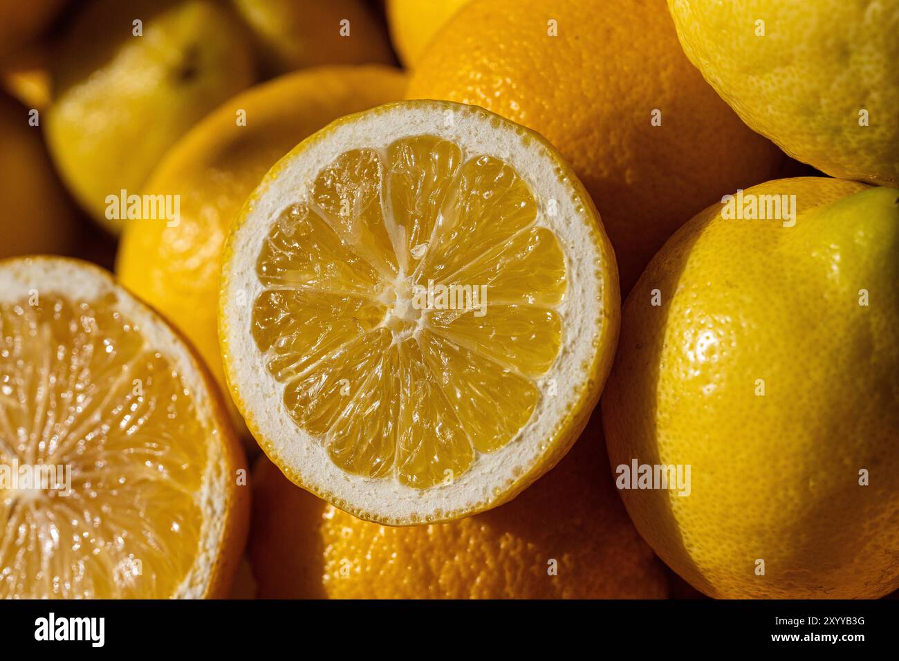 Macro view of fresh lemons, both sliced and whole. Vibrant yellow citrus fruits showcase juicy ...