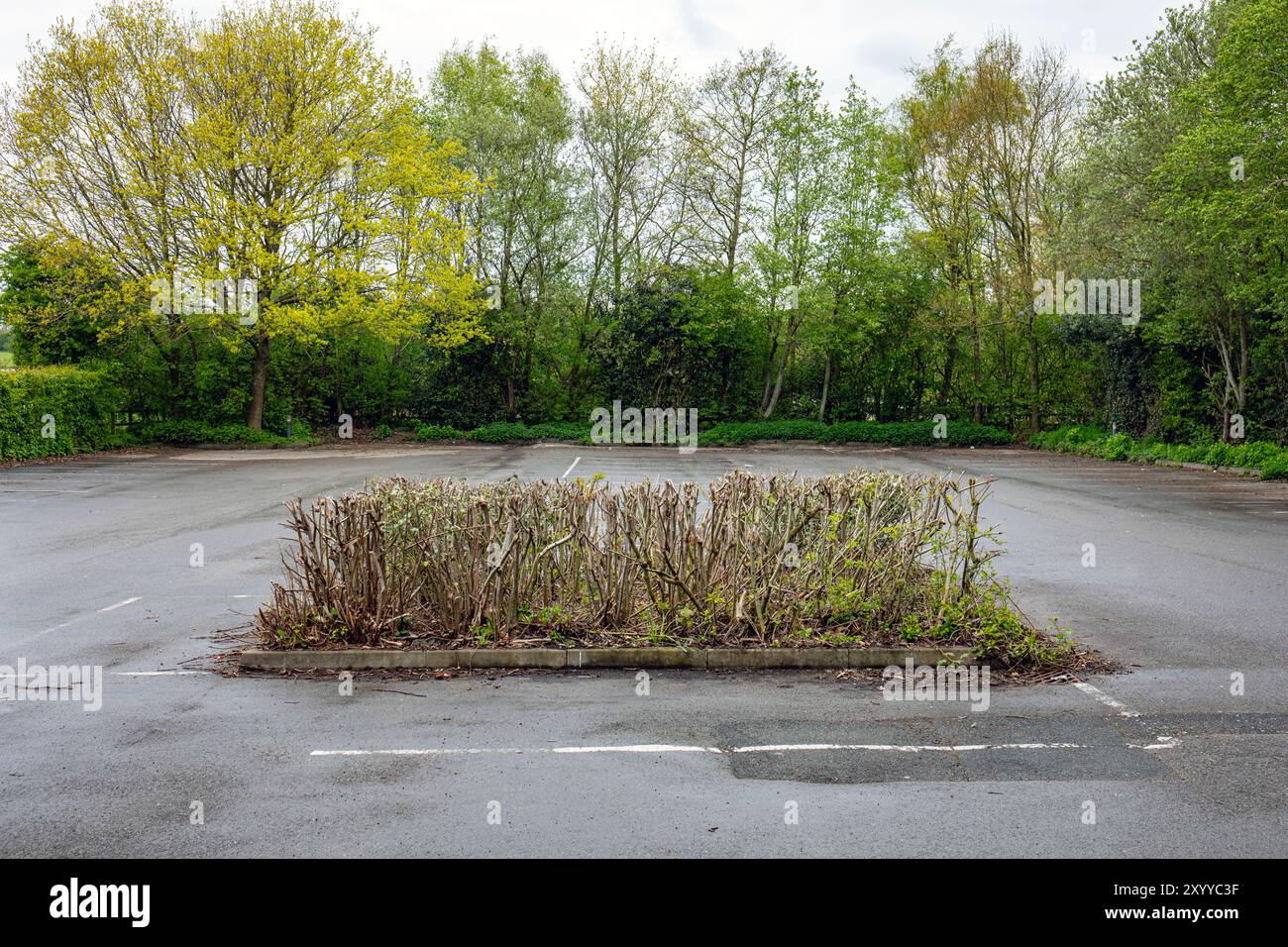 Empty plot hi-res stock photography and images - Alamy