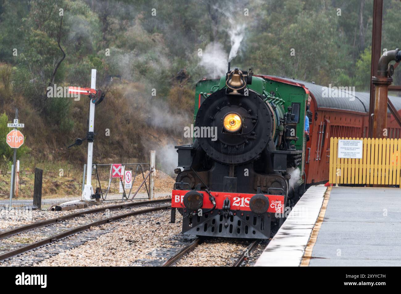 A steam locomotive No 218A Class C16 hauls a small fleet of ageing ...