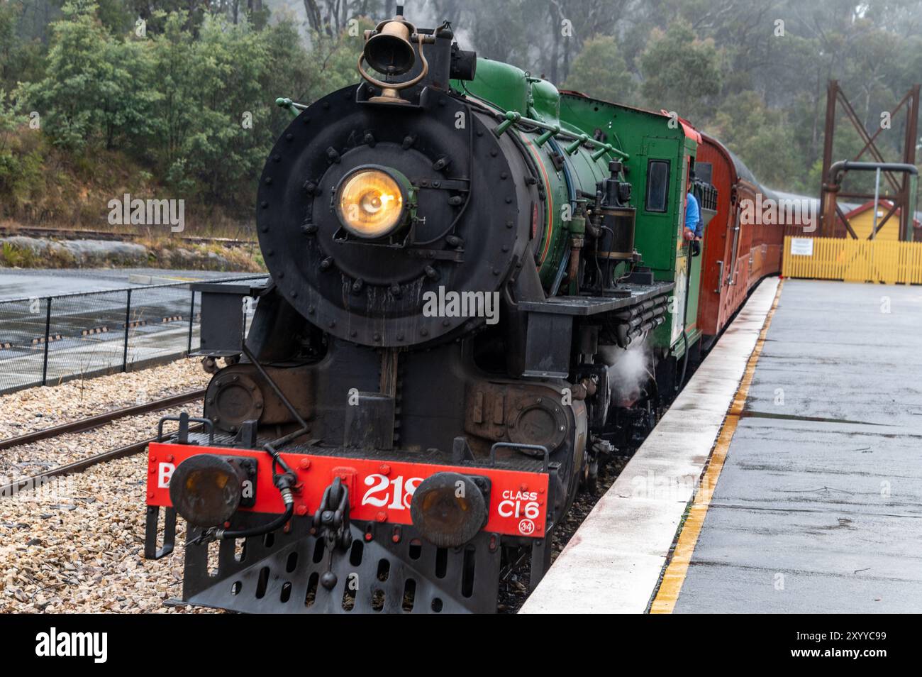 A steam locomotive No 218A Class C16 hauls a small fleet of ageing ...