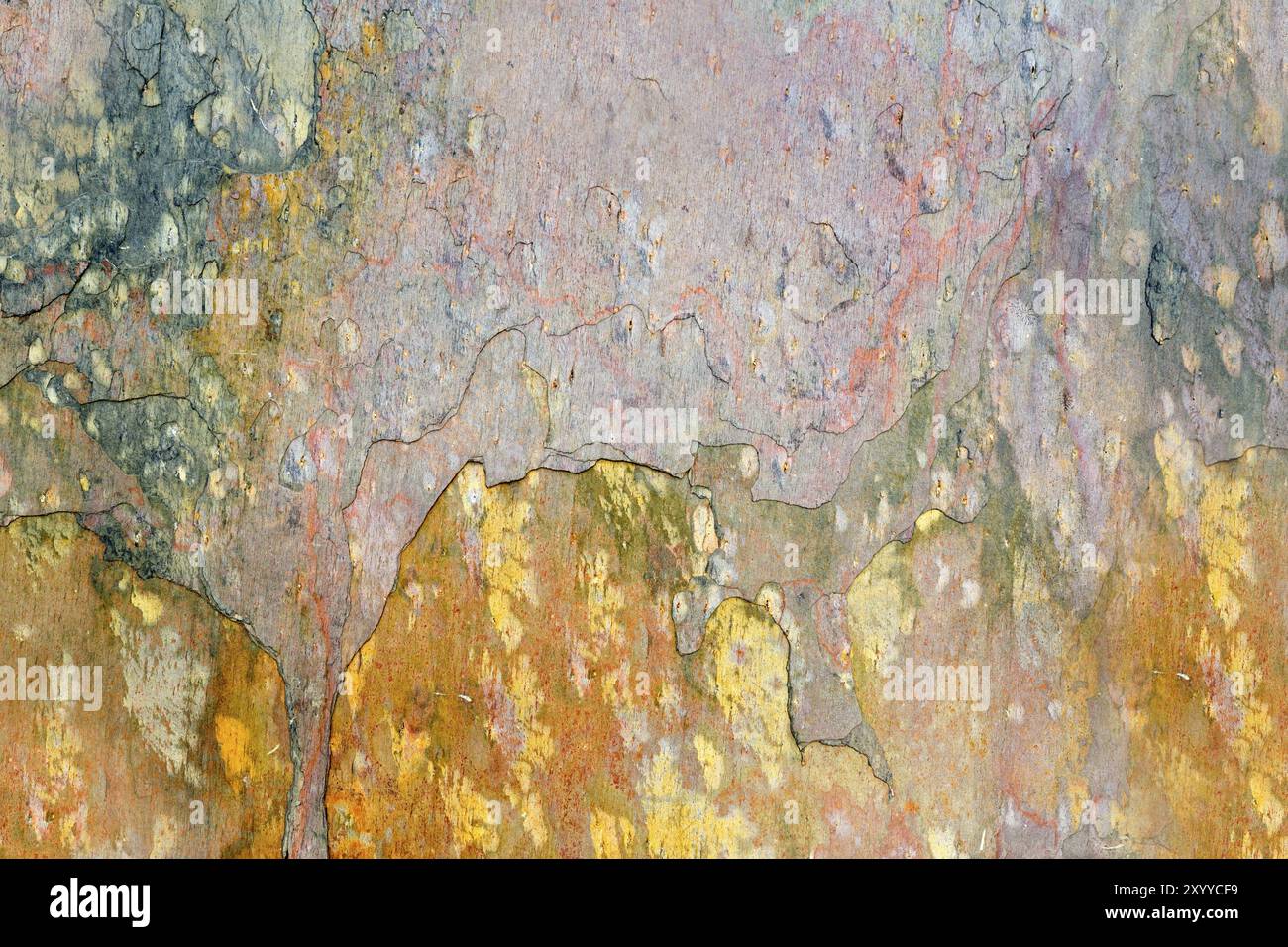 Coloured structure as background Stock Photo - Alamy