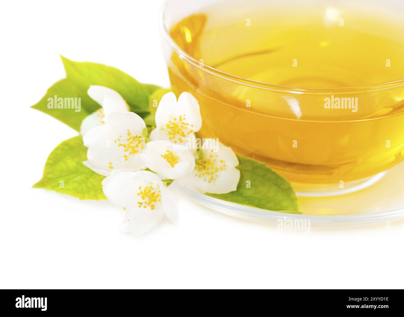 Cup of the jasmin tea isolated on white background Stock Photo - Alamy