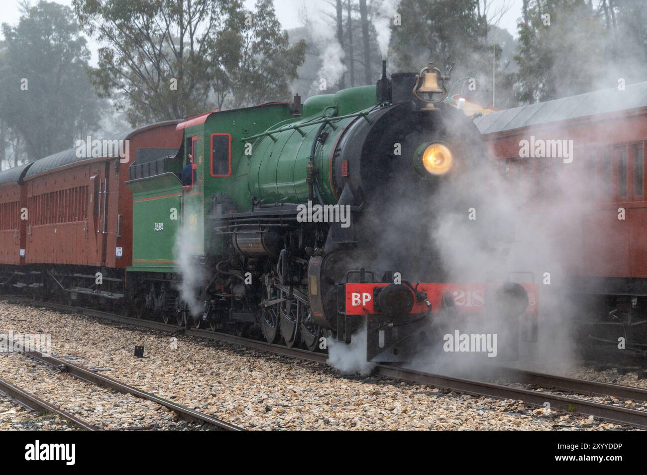 A steam locomotive No 218A Class C16 hauls a small fleet of aging ...